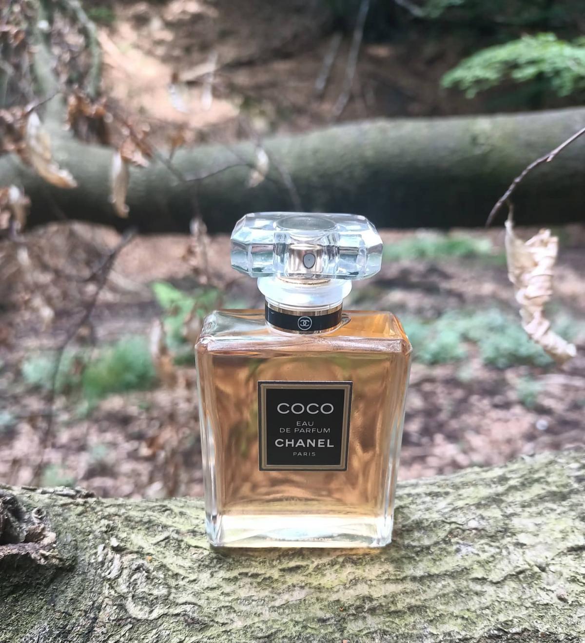 Coco Eau de Parfum Chanel parfum - un parfum pour femme 1984