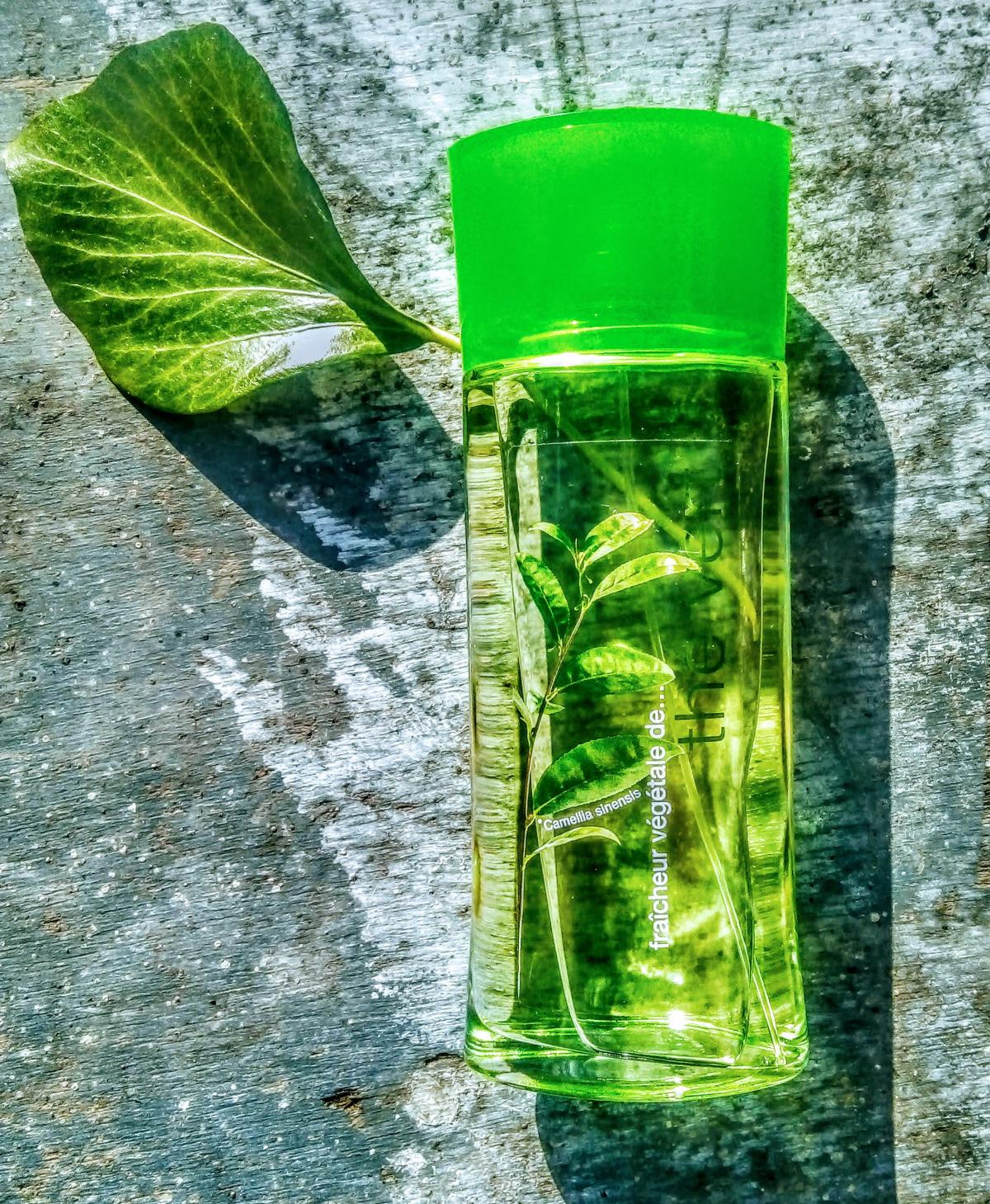 Fraicheur Vegetale The Vert Yves Rocher fragancia - una fragancia para ...
