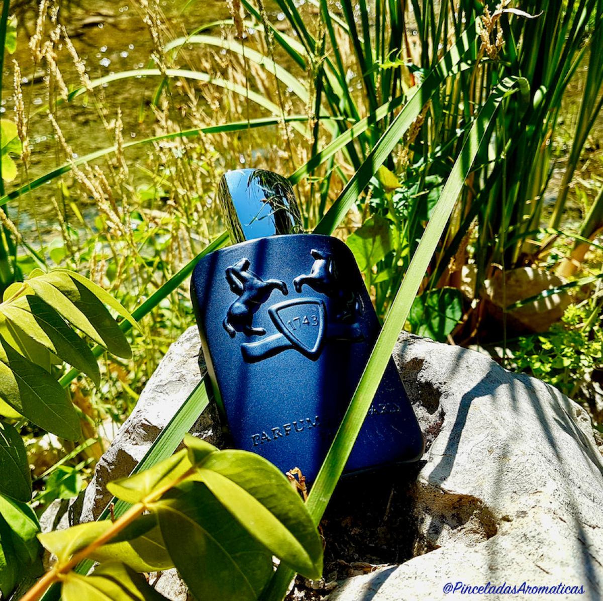 Layton Parfums de Marly parfum - un parfum pour homme et femme 2016