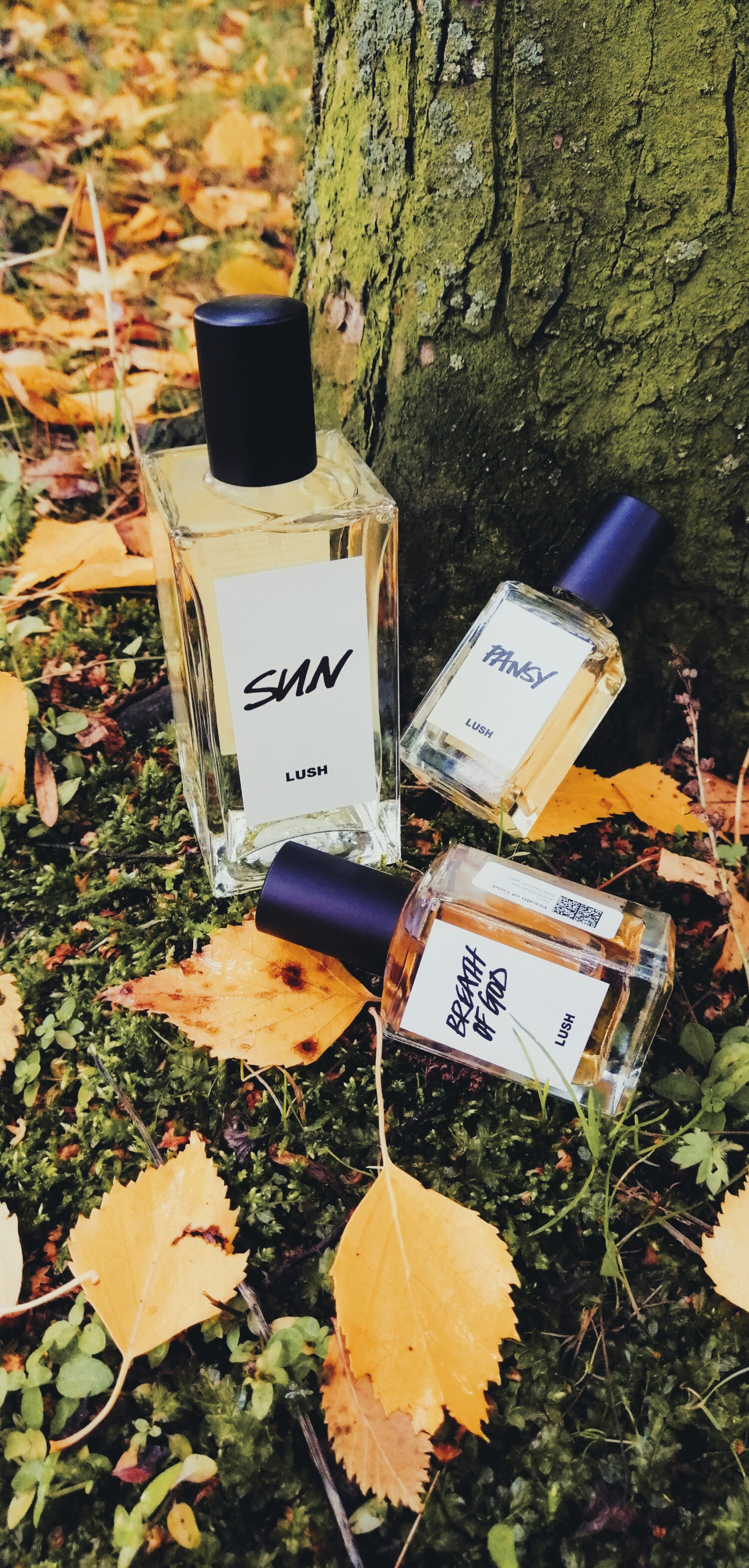 Pansy Lush parfum - un parfum pour homme et femme 1993