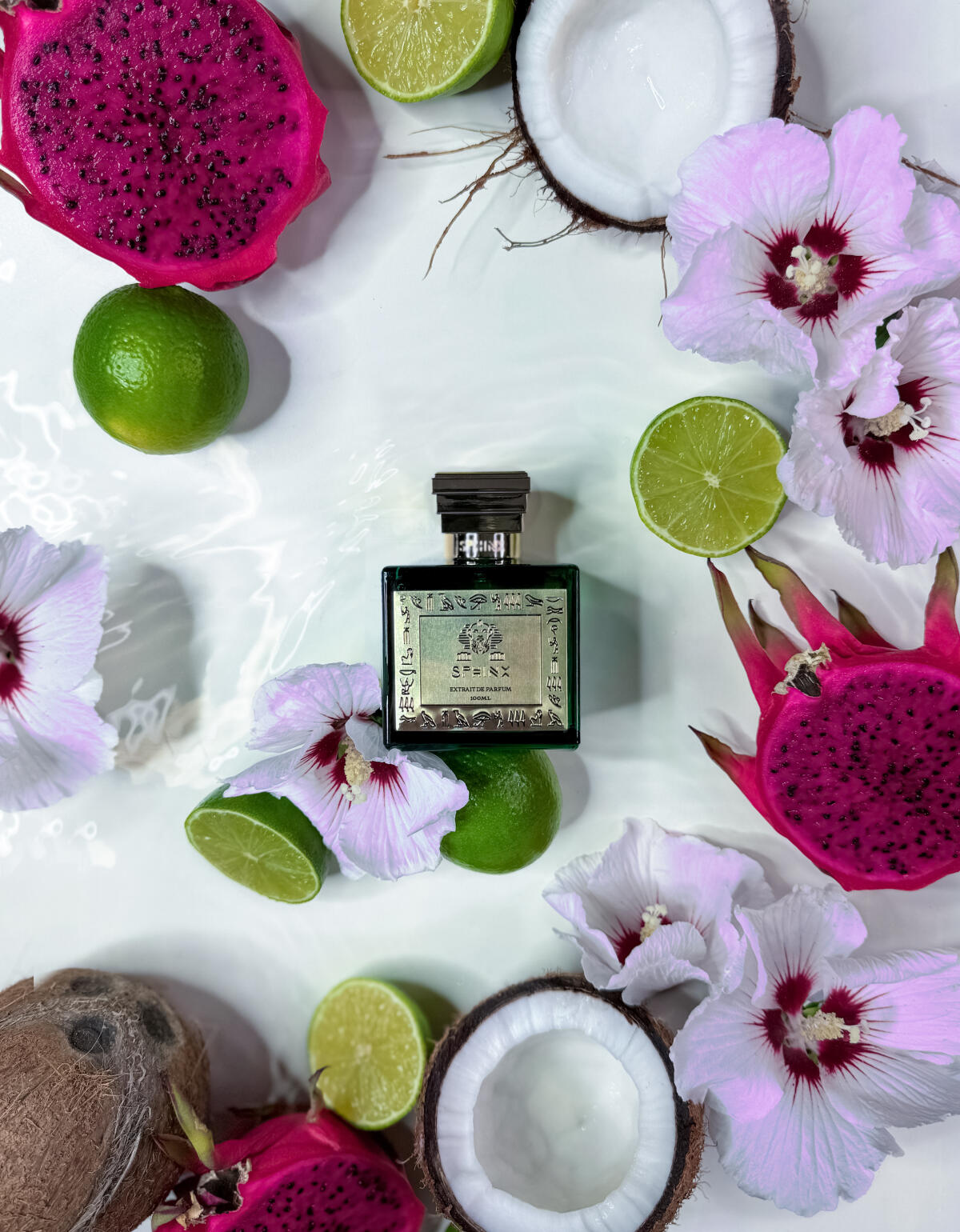 KoKonut Daiquiri Sphinx Fragrances perfume - a novo fragrância Compartilhável 2023