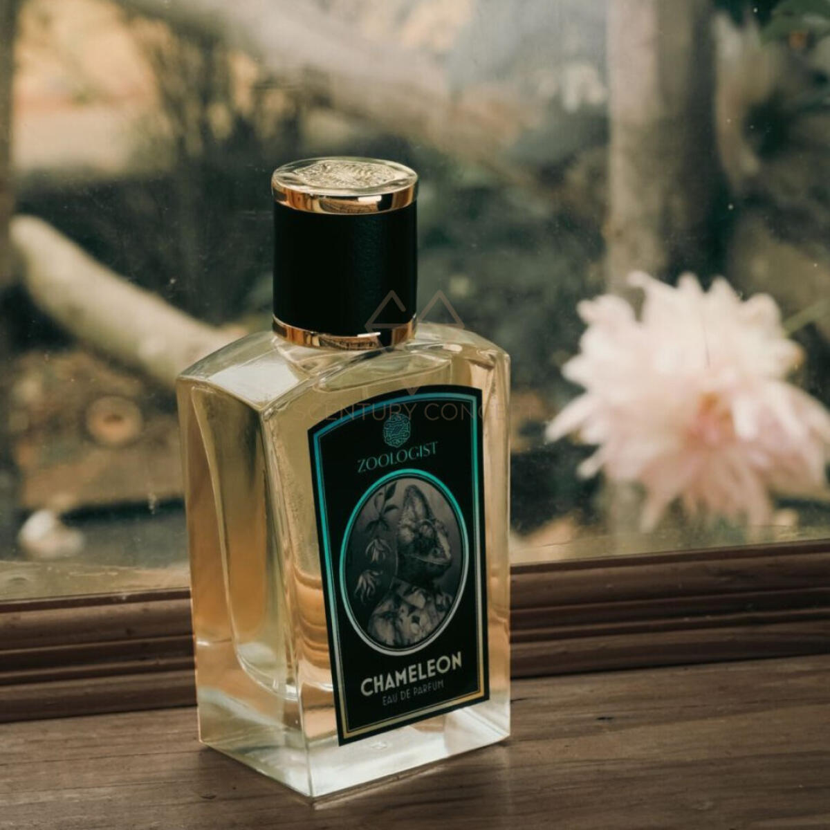 Chameleon Zoologist Perfumes parfum - un parfum pour homme et femme 2019