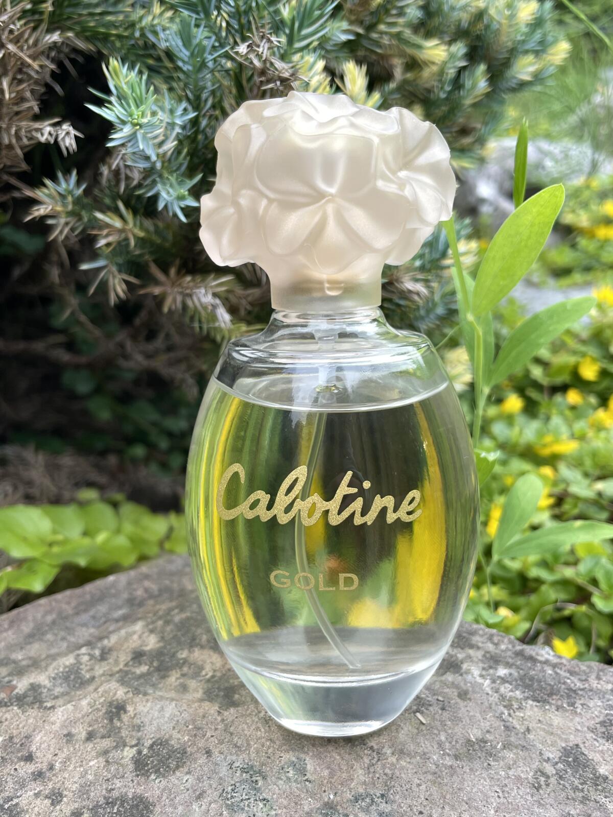 Cabotine Gold Grès fragancia - una fragancia para Mujeres 2010