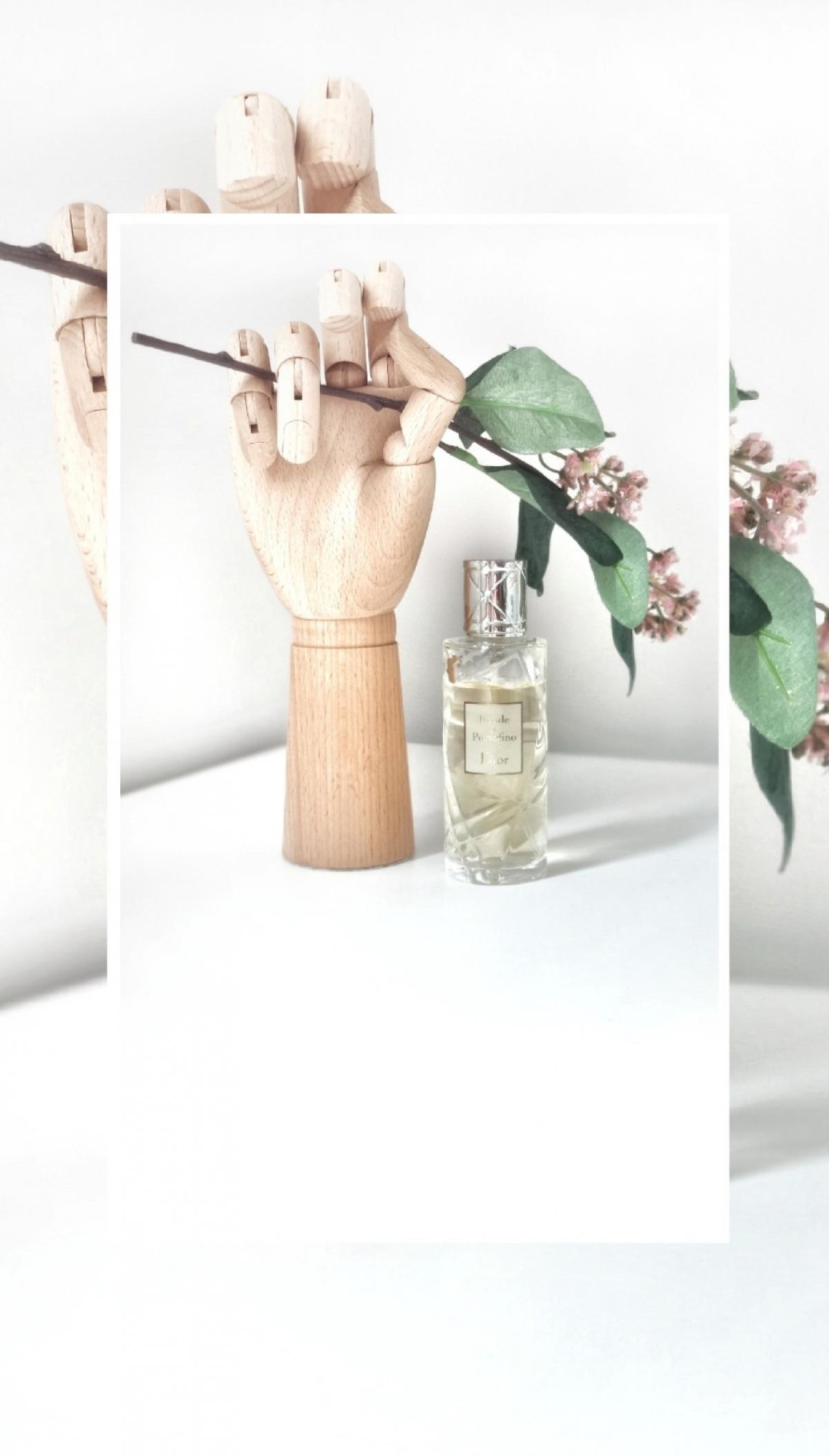 Cruise Collection - Escale a Portofino Dior perfume - a fragrância ...