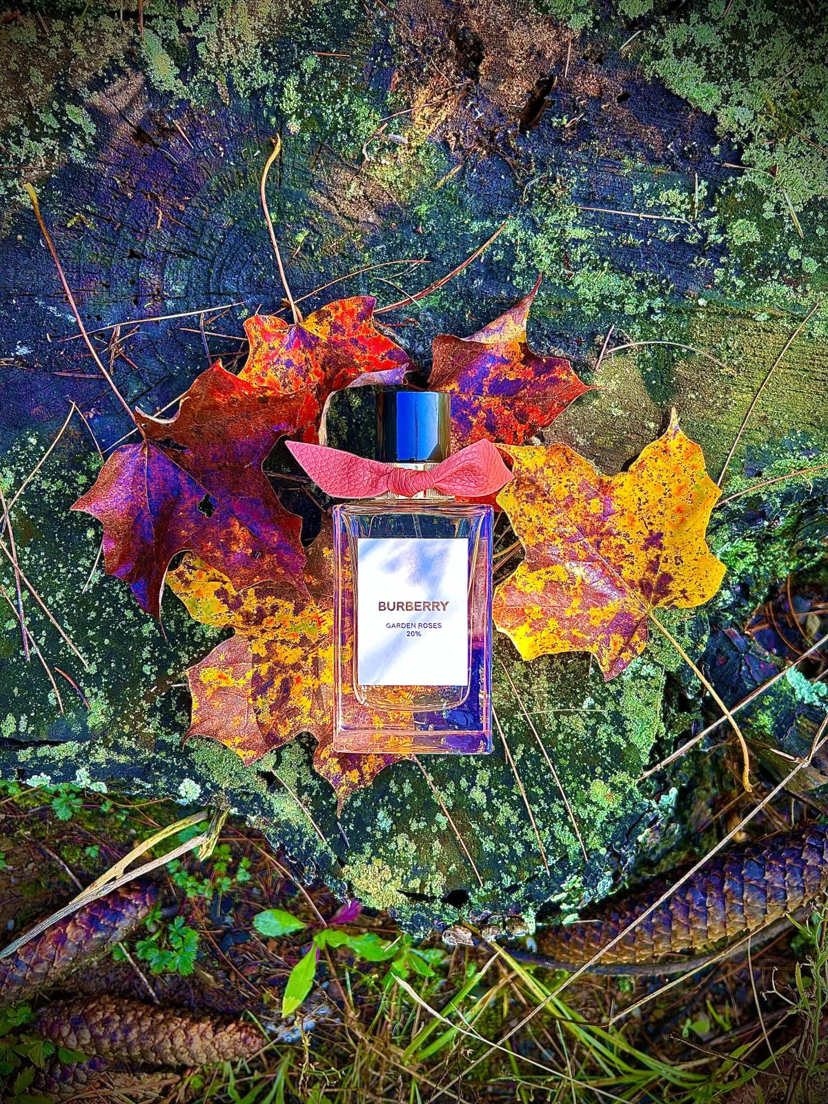 Garden Roses Burberry аромат — аромат для мужчин и женщин 2017