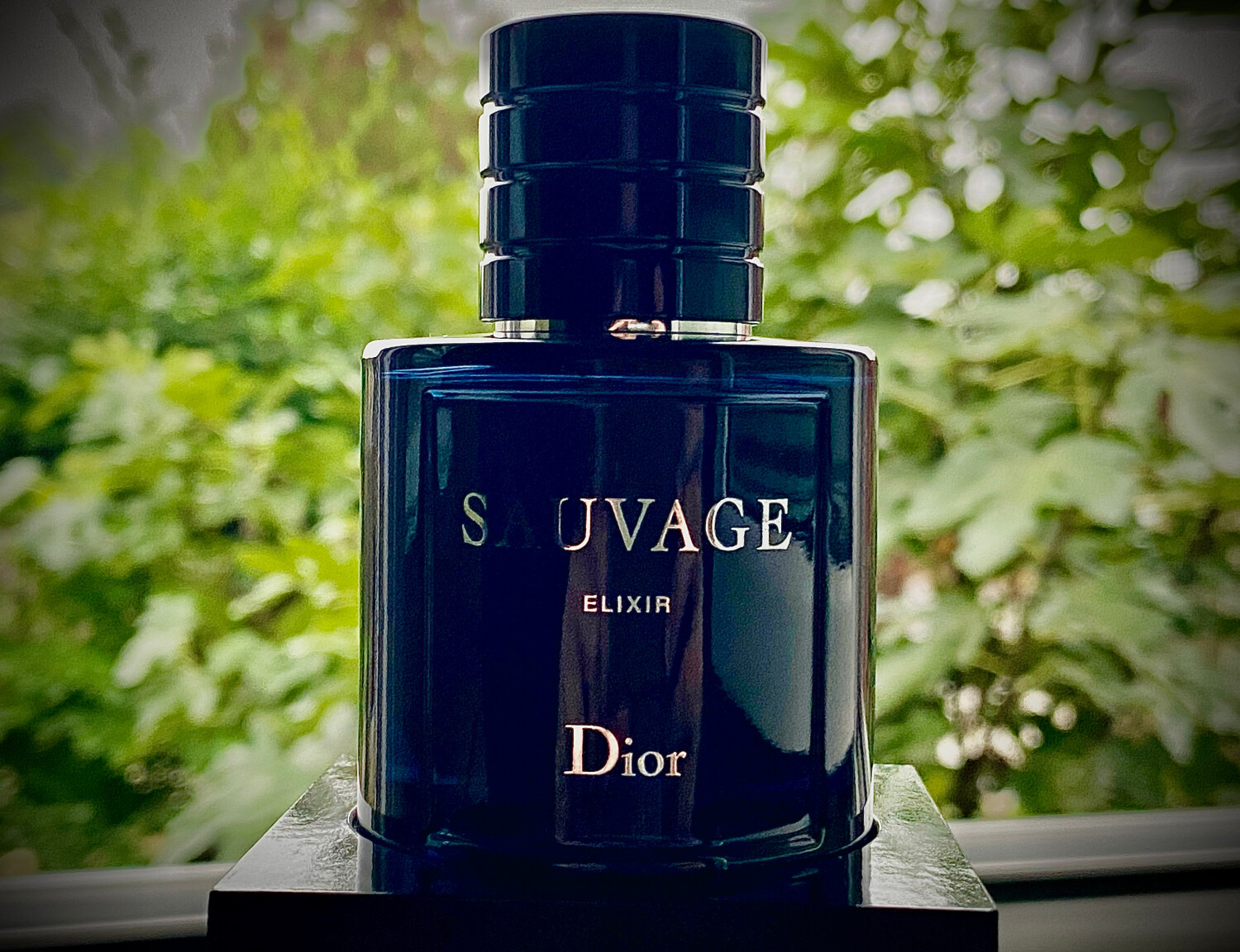 Sauvage Elixir Dior Cologne - un nouveau parfum pour homme 2021