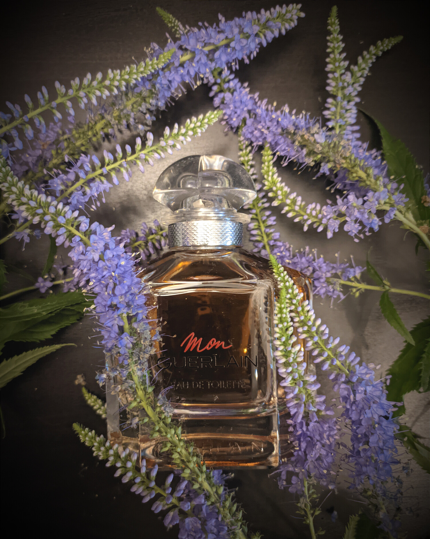 Mon Guerlain Eau de Toilette Guerlain perfume - a fragrância Feminino 2018