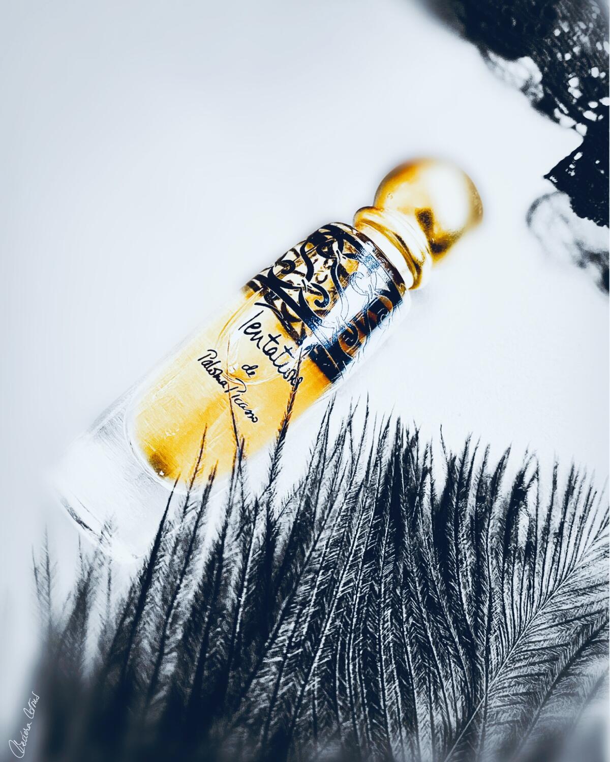 Tentations Paloma Picasso parfum - een geur voor dames 1996