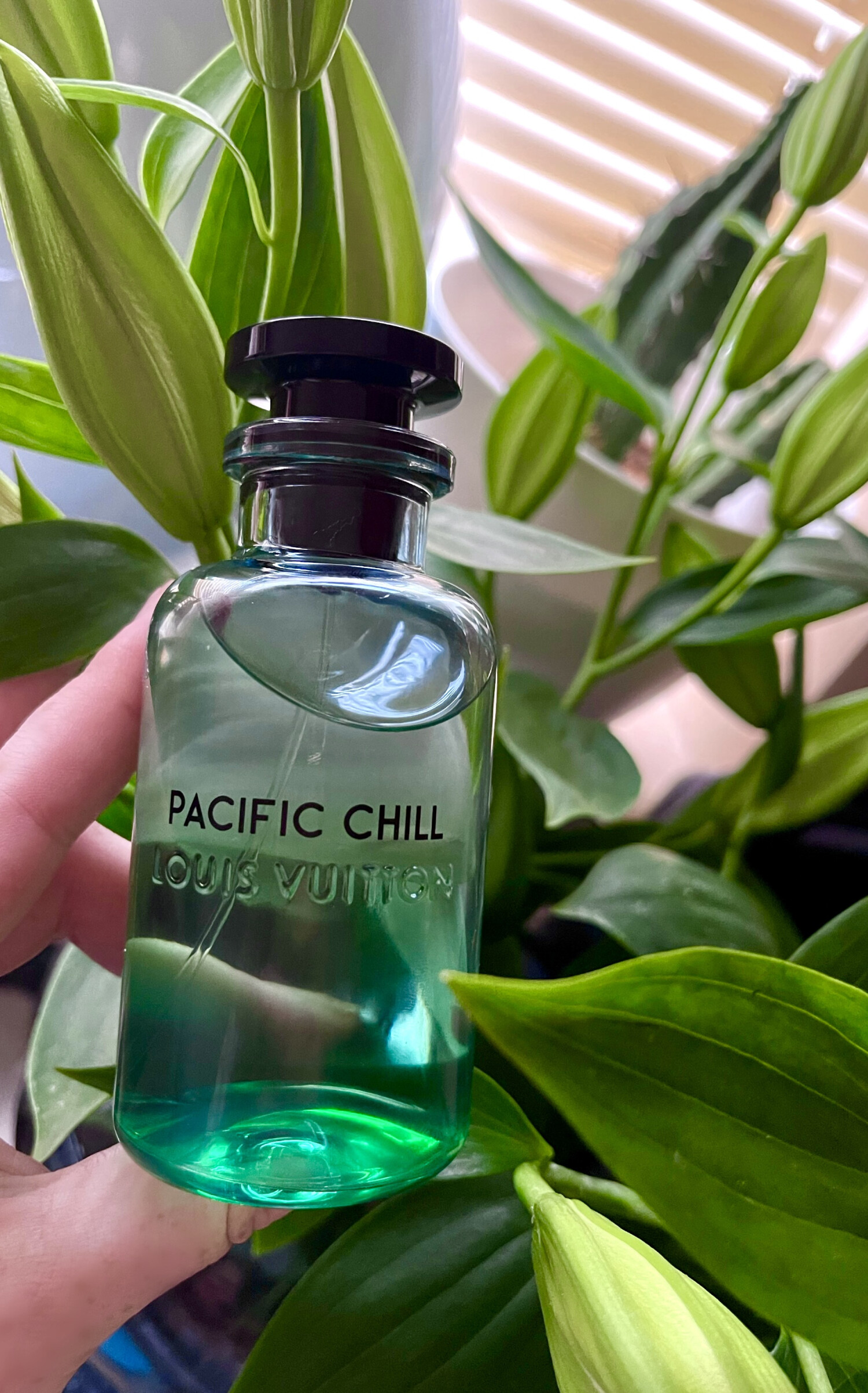Pacific Chill Louis Vuitton fragancia - una fragancia para Hombres y ...