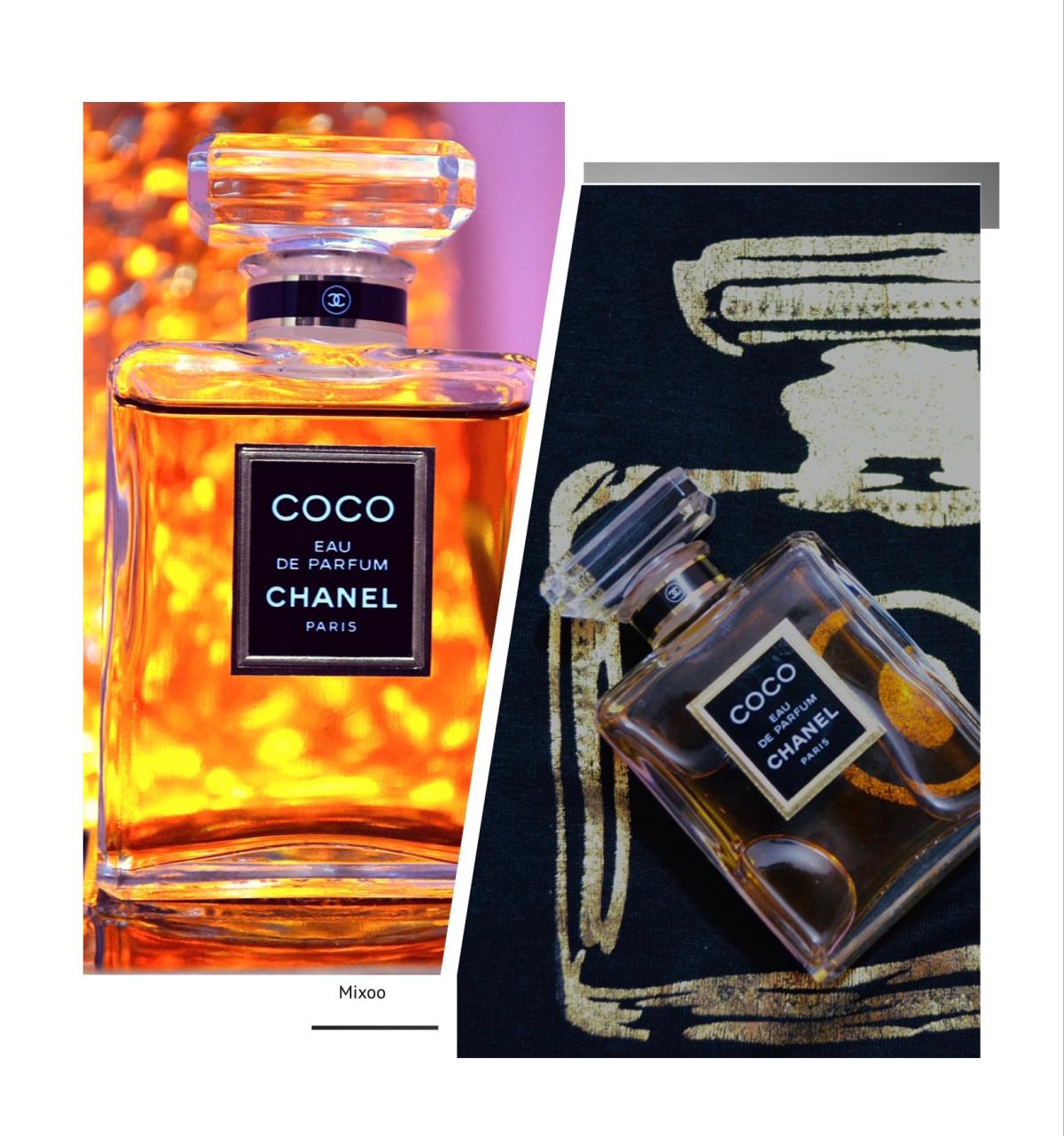 Coco Eau de Parfum Chanel perfume - a fragrância Feminino 1984