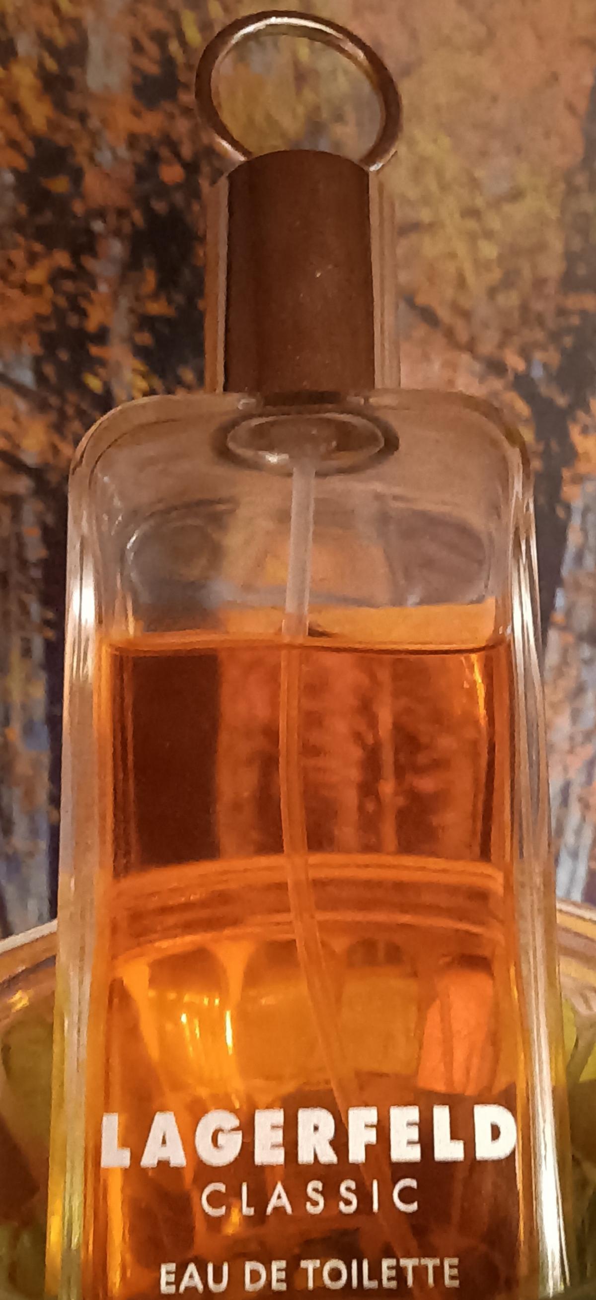 Lagerfeld Classic Karl Lagerfeld Colônia - a fragrância Masculino 1978