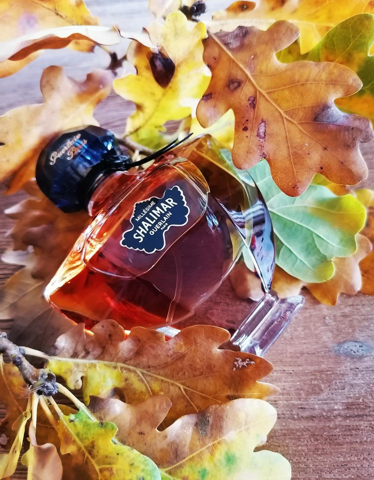 Shalimar Millésime Tonka Guerlain parfem - novi parfem za žene 2022