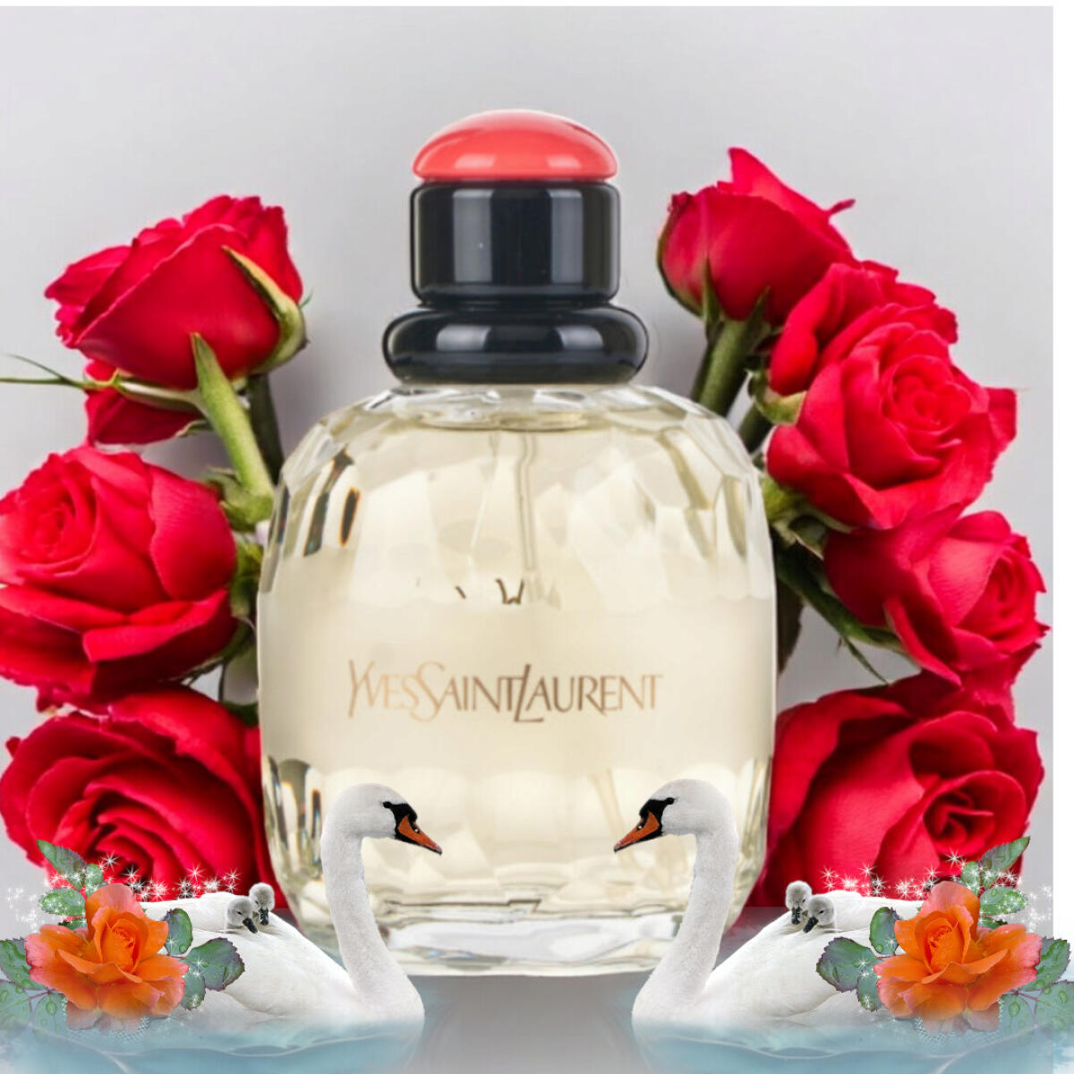 Paris Yves Saint Laurent fragancia - una fragancia para Mujeres 1983