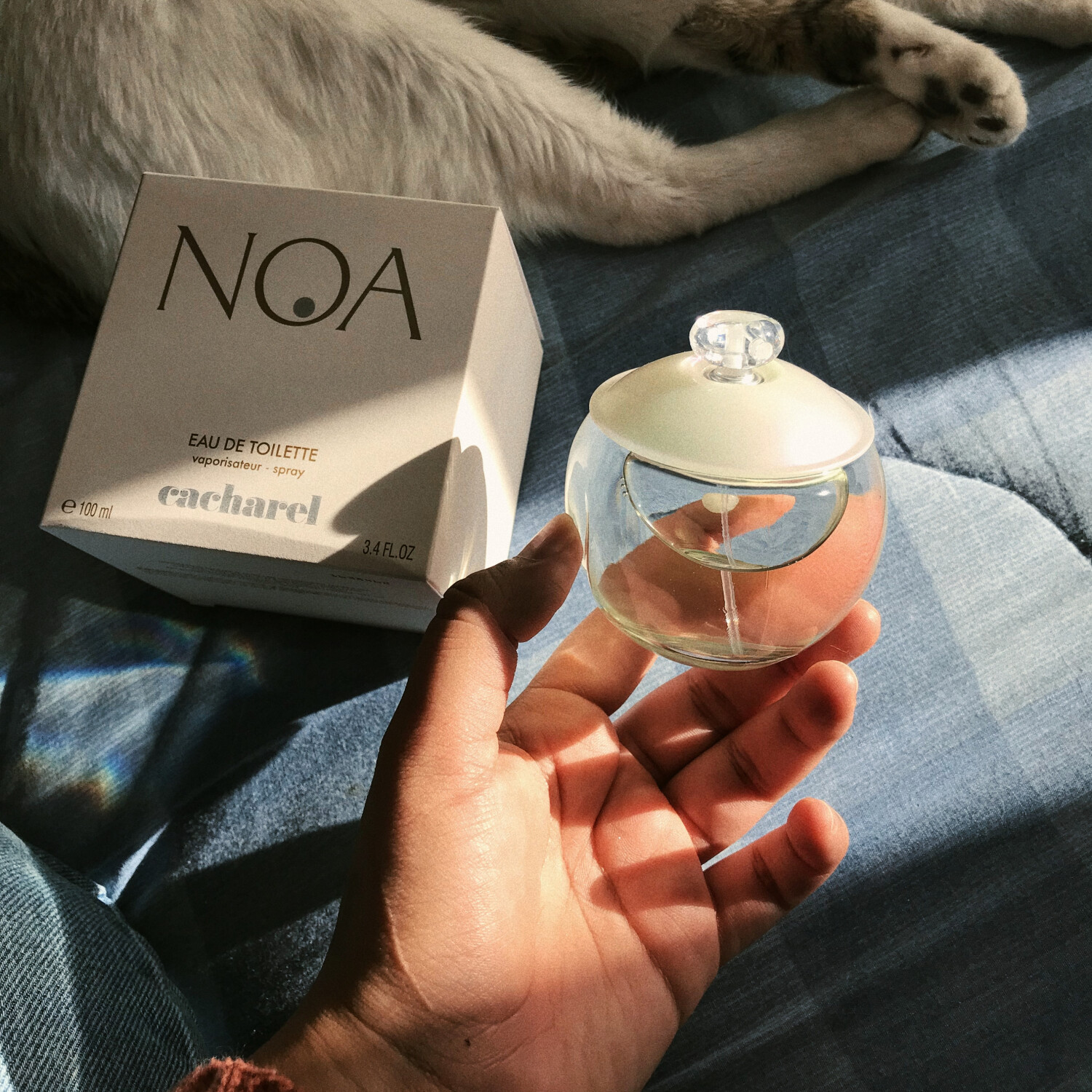 Noa Cacharel perfume - a fragrância Feminino 1998