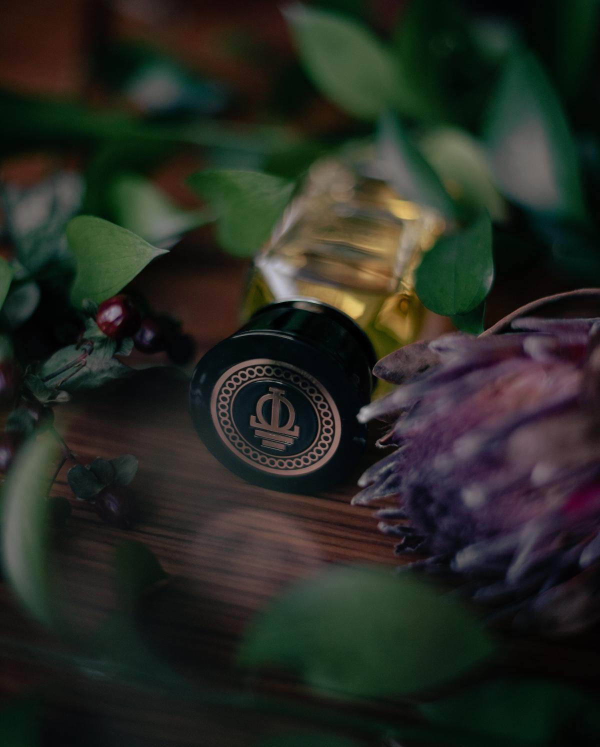 Voyage Omanluxury Parfum - ein neues Parfum für Frauen und Männer 2022