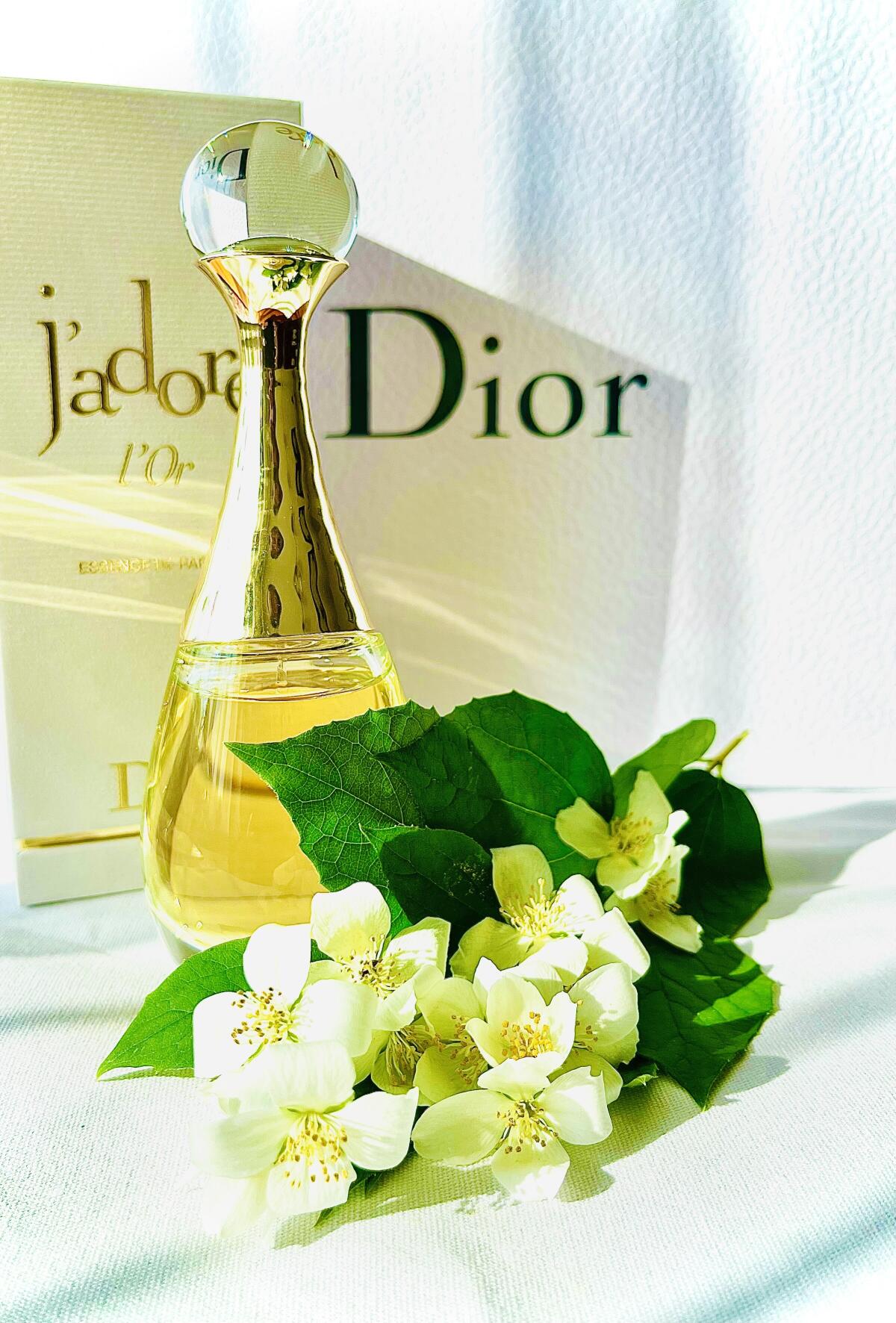 J'adore L'Or (2023) Dior perfumy - to nowe perfumy dla kobiet 2023
