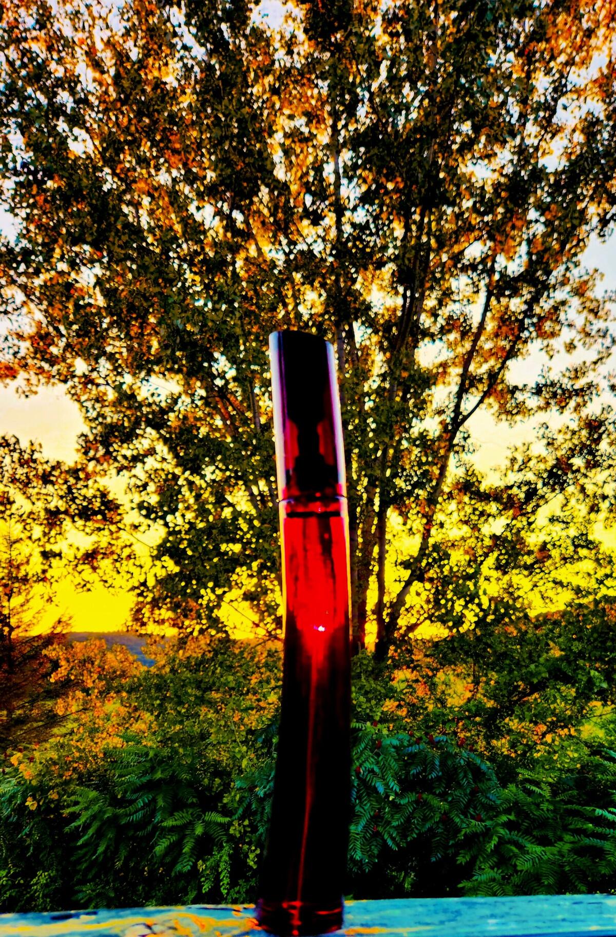 Flower by Kenzo L'Elixir Kenzo parfum - un parfum pour femme 2015