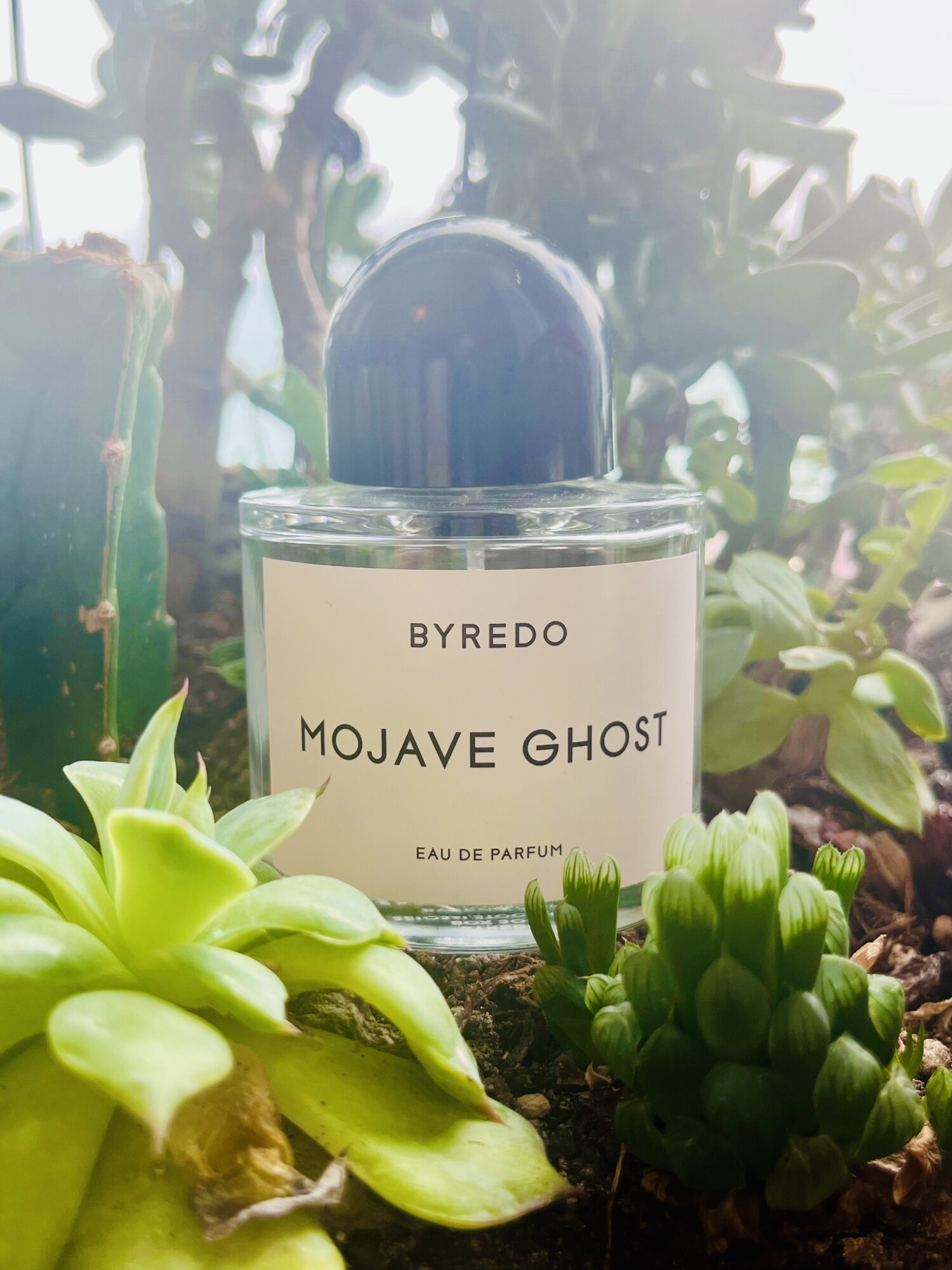 Mojave Ghost Byredo аромат — аромат для мужчин и женщин 2014