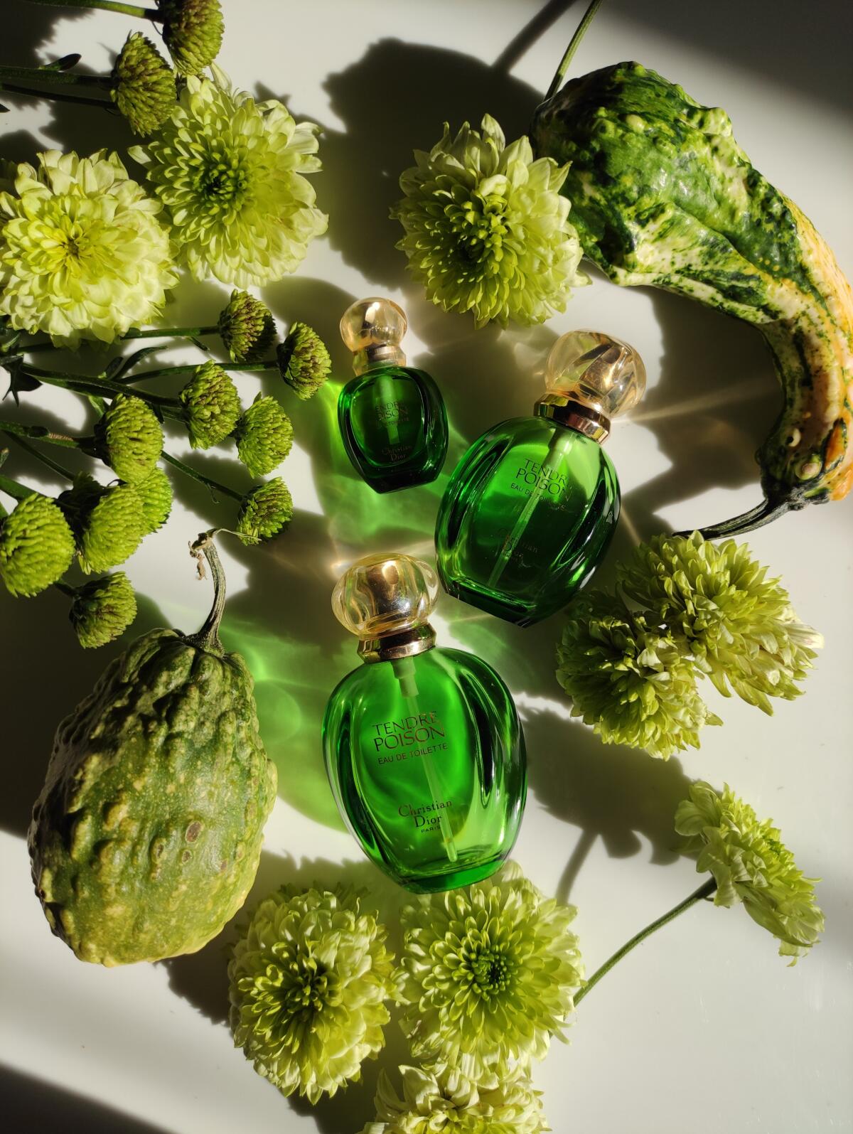 Tendre Poison Dior perfume - a fragrância Feminino 1994