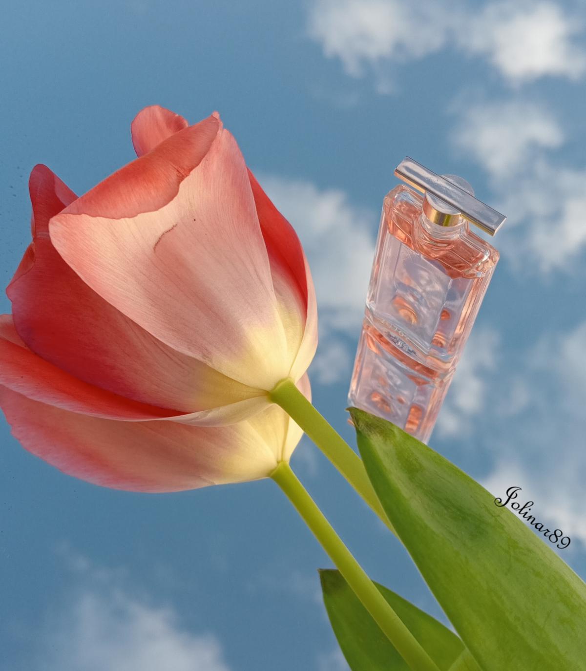 Idôle Lancôme perfume - a fragrância Feminino 2019