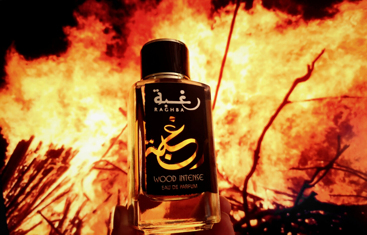 Raghba Wood Intense Lattafa Perfumes κολόνια - ένα άρωμα για άνδρες 2014