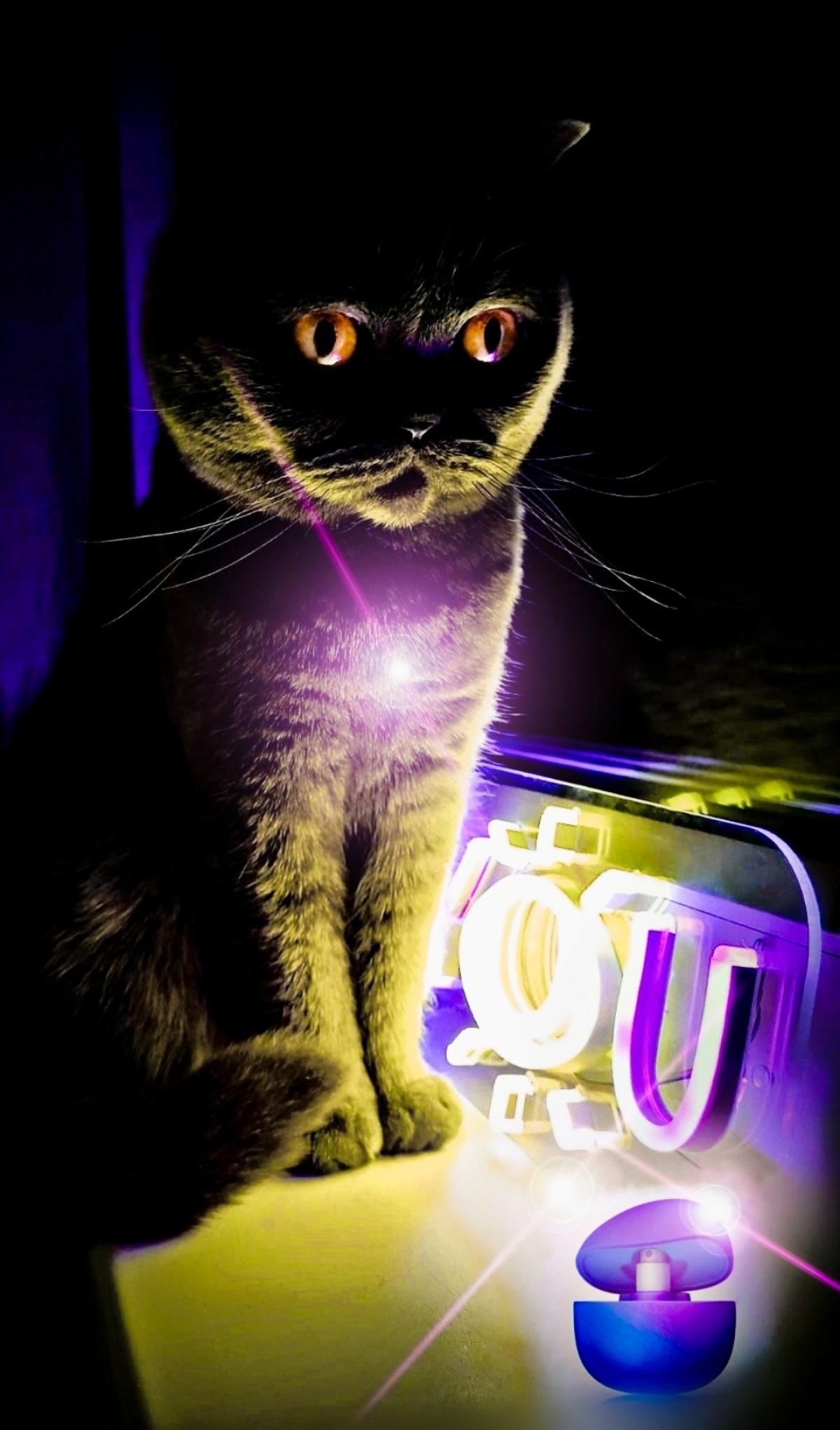 Chill AF Addison Rae Parfum - ein neues Parfum für Frauen 2023