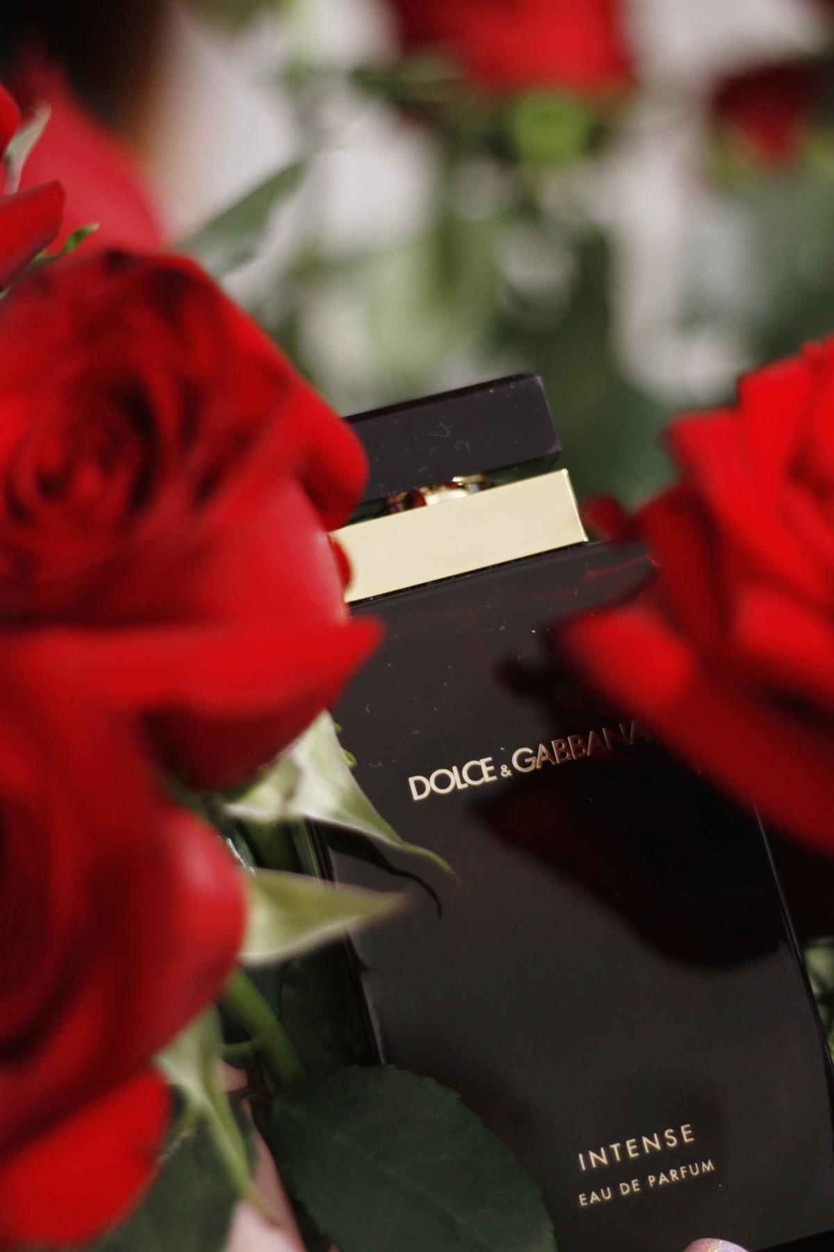 Dolce&Gabbana Pour Femme Intense Dolce&Gabbana άρωμα - ένα άρωμα για ...