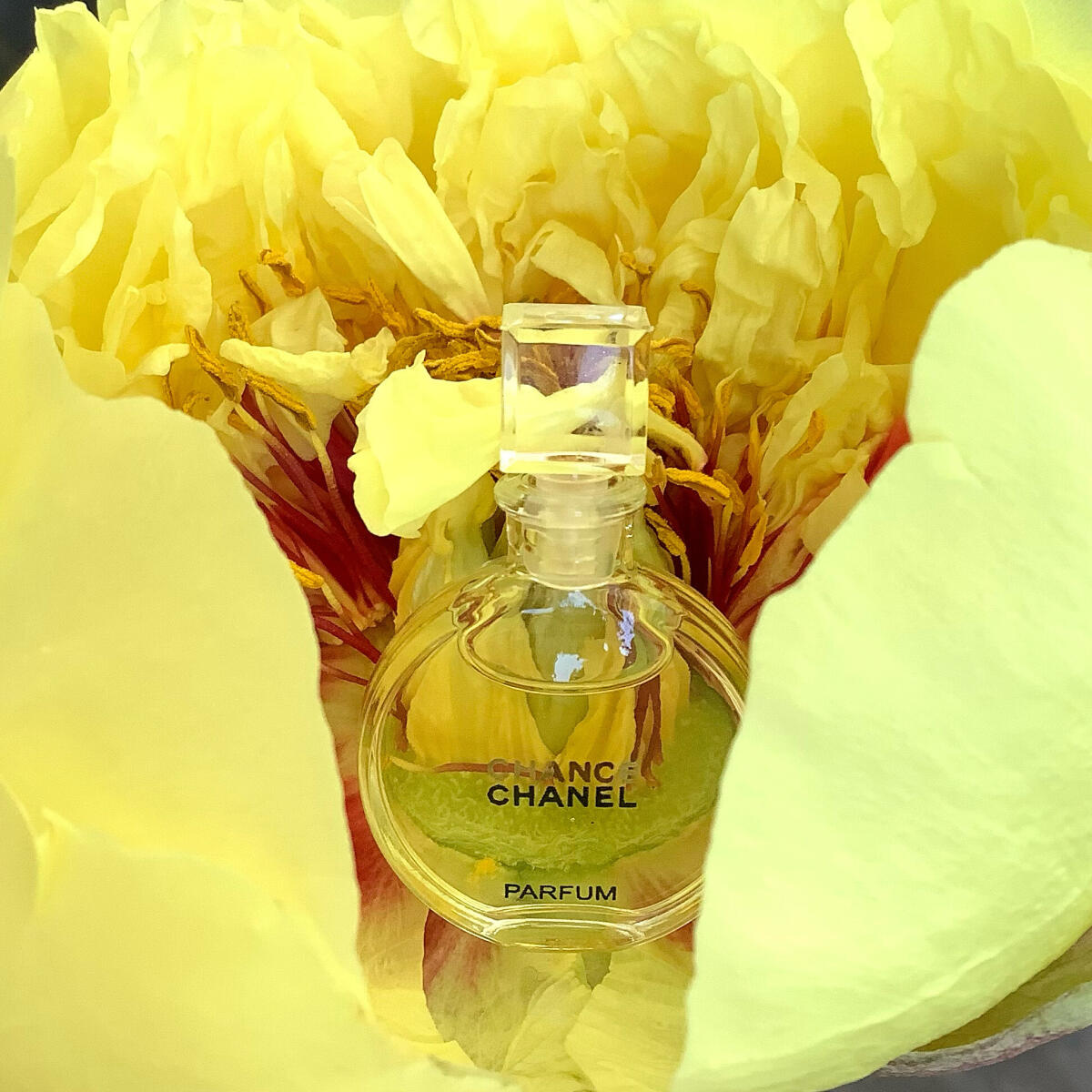 Chance Parfum Chanel perfume - a fragrância Feminino 2003