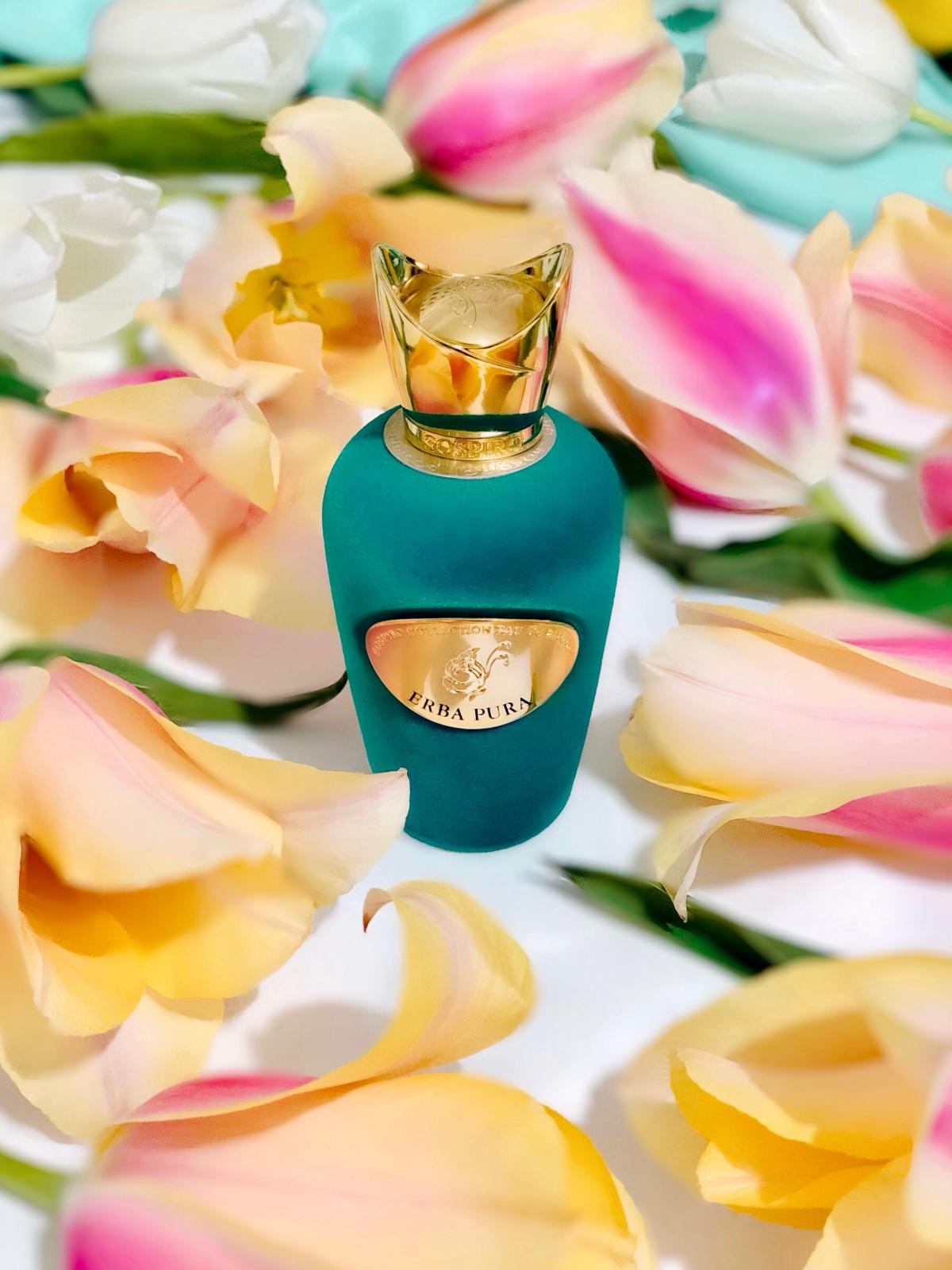 Erba Pura Xerjoff Parfum - ein es Parfum für Frauen und Männer 2019