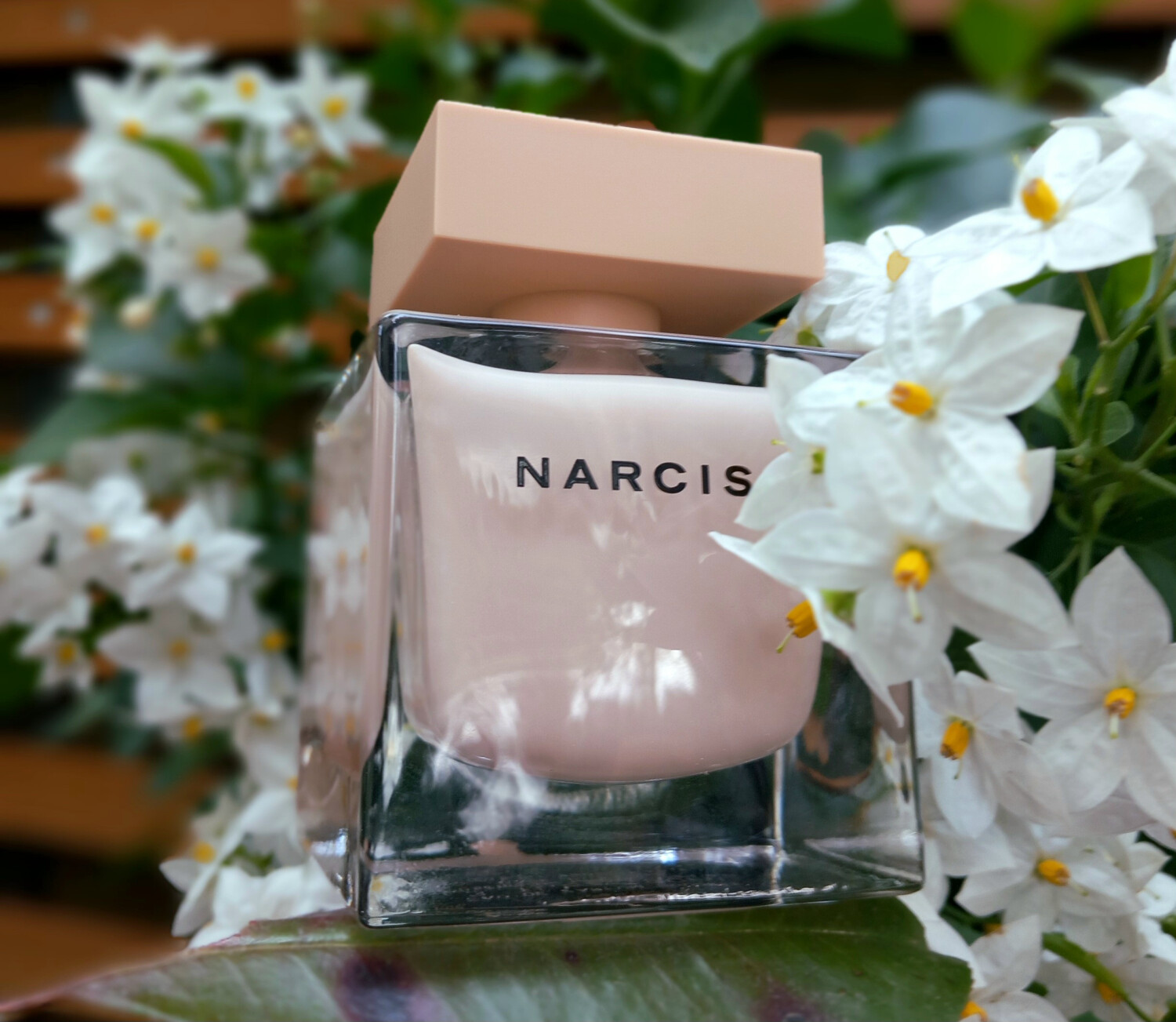 Narciso Poudree Narciso Rodriguez άρωμα - ένα άρωμα για γυναίκες 2016