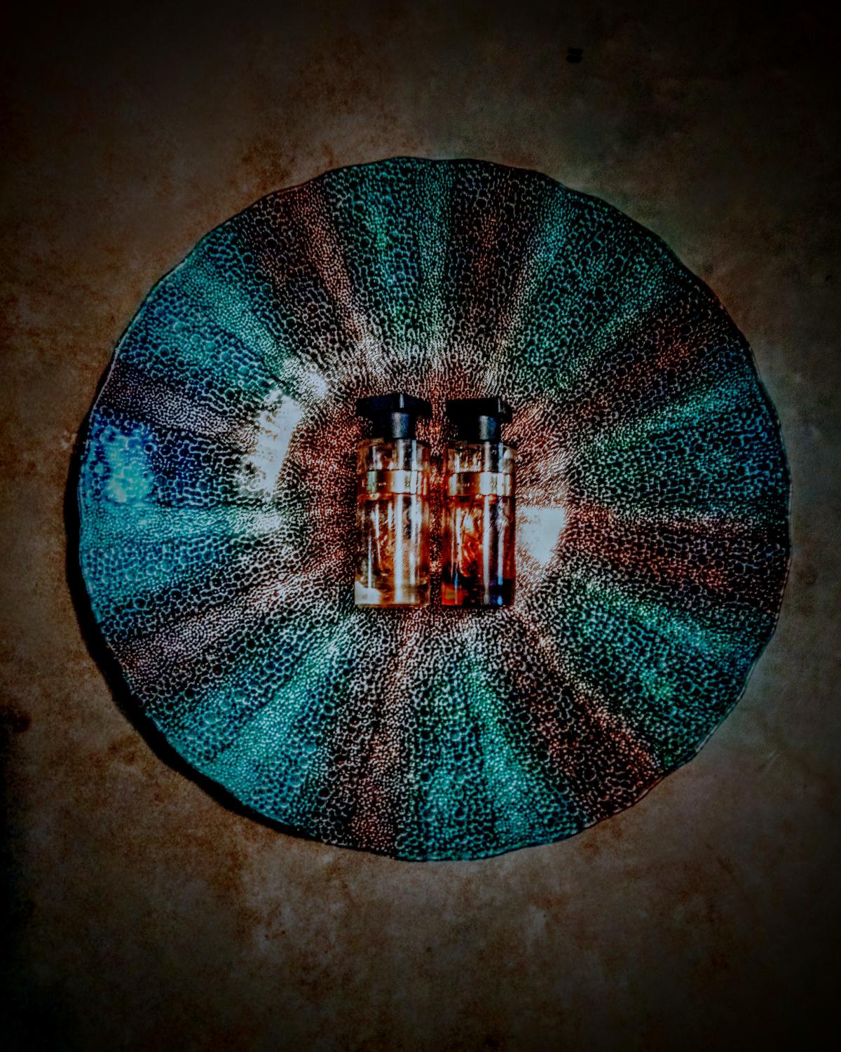 Field Notes From Paris Ineke fragancia - una fragancia para Hombres y ...