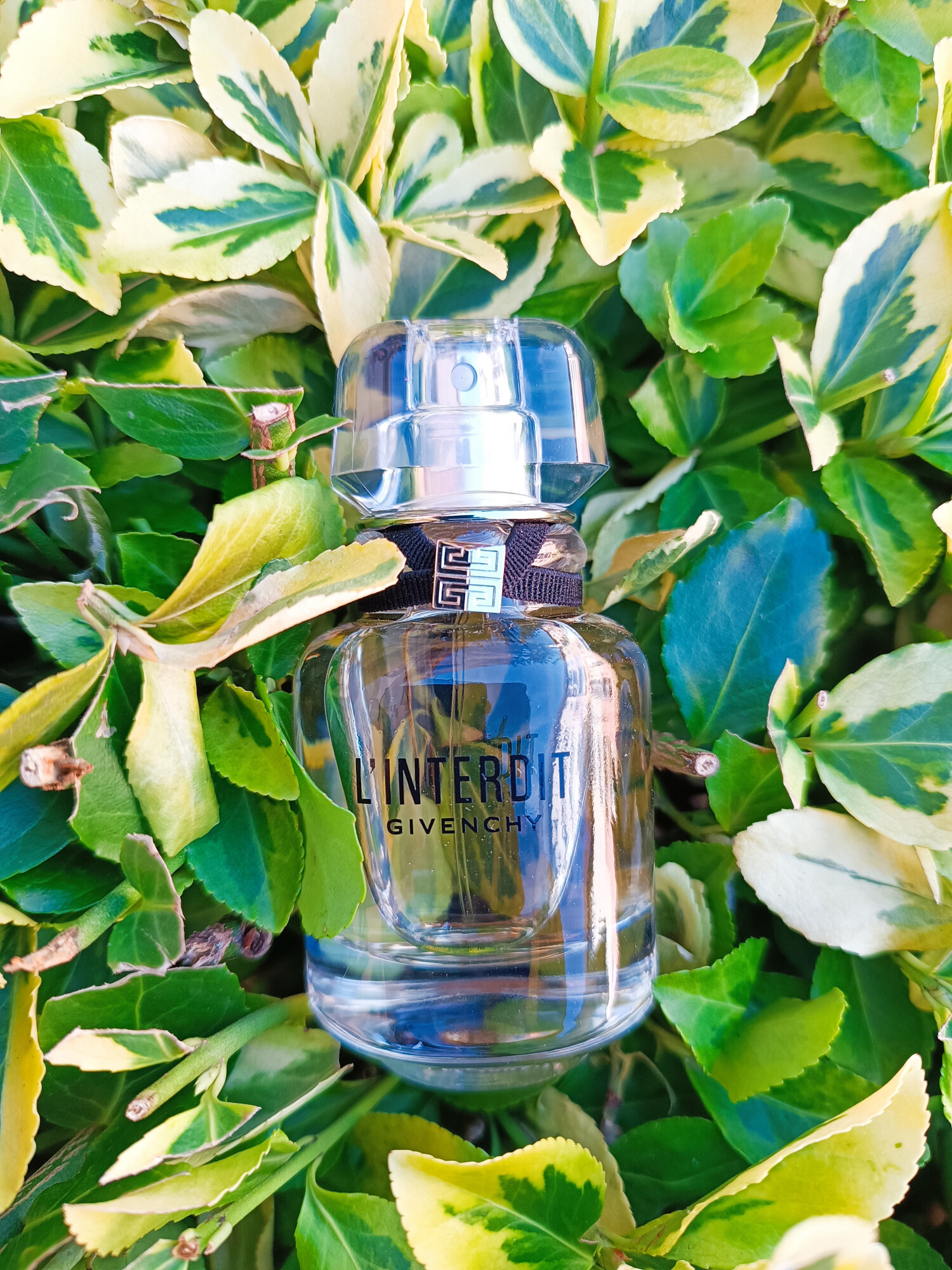 L'Interdit Eau de Toilette (2022) Givenchy άρωμα - ένα νέο άρωμα για ...