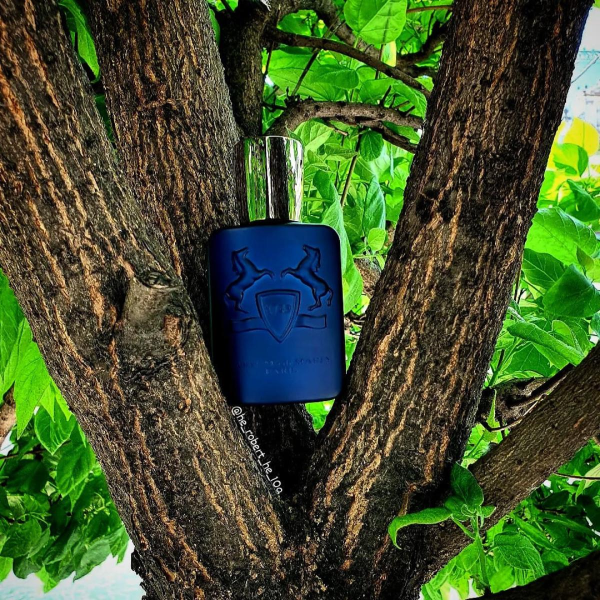 Layton Parfums de Marly fragancia - una fragancia para Hombres y ...