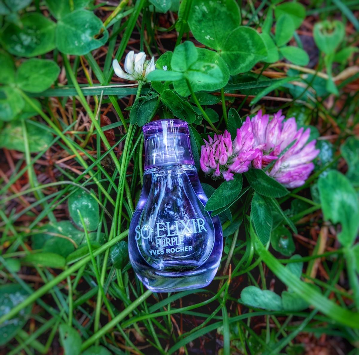 So Elixir Purple Eau de Parfum Yves Rocher fragancia - una fragancia ...