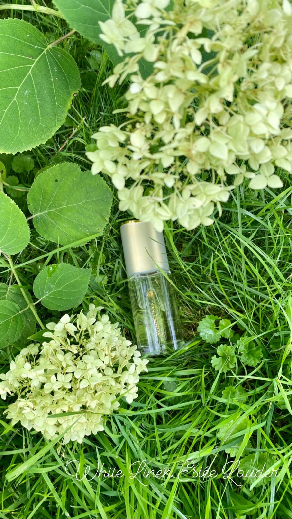 White Linen Estée Lauder fragancia - una fragancia para Mujeres 1978