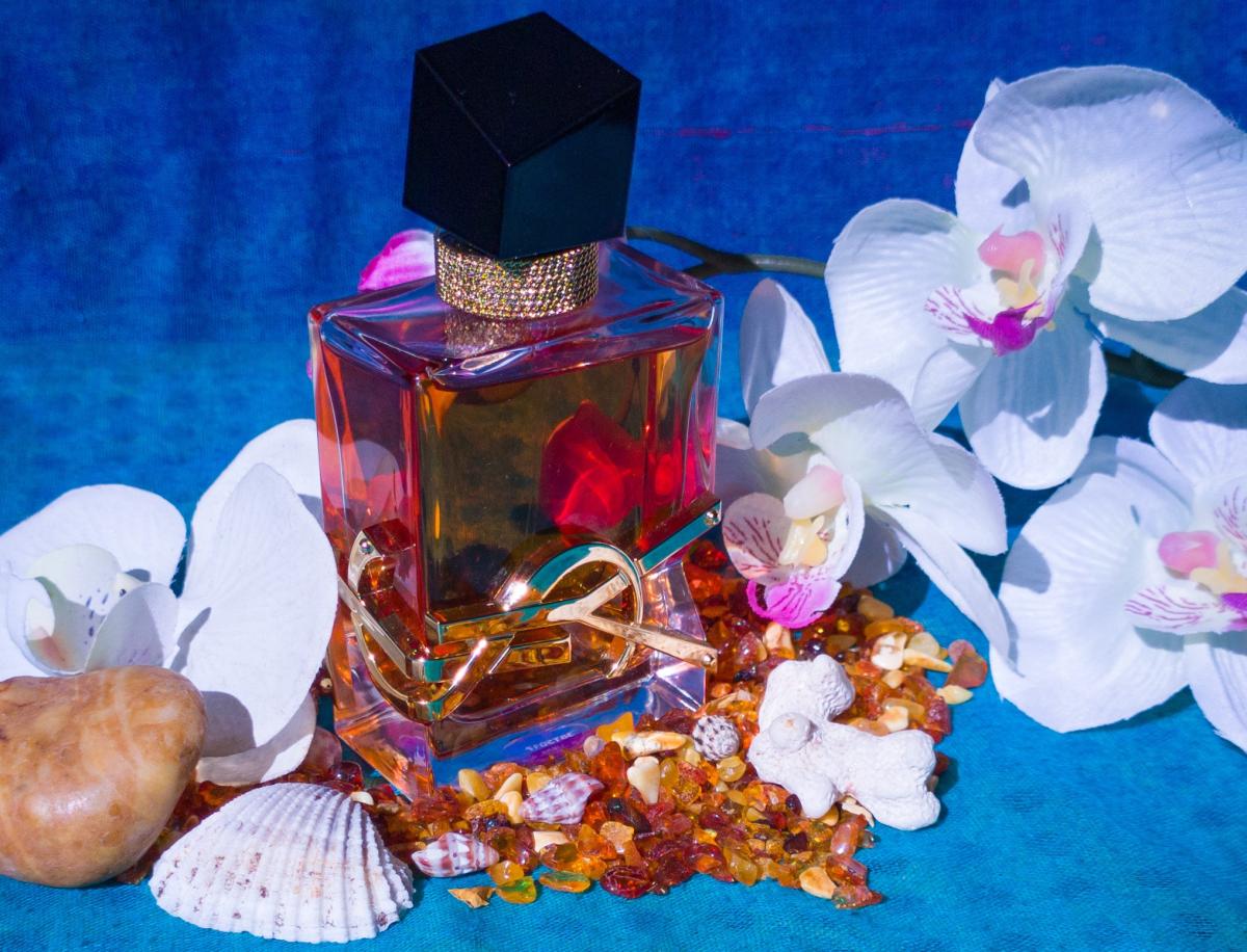 Libre Intense Yves Saint Laurent fragancia - una fragancia para Mujeres ...