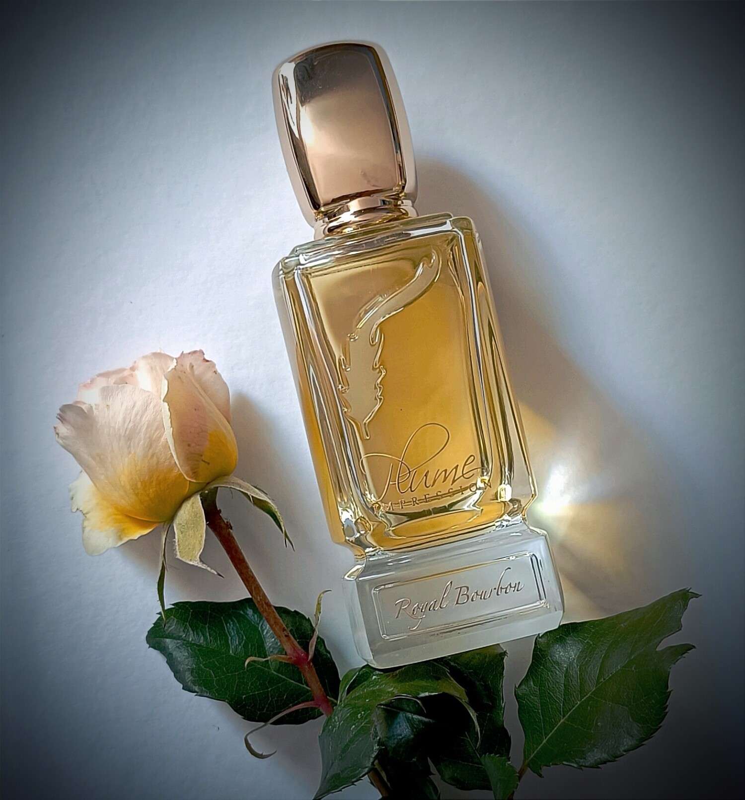 Royal Bourbon Plume Impression perfume - a novo fragrância ...