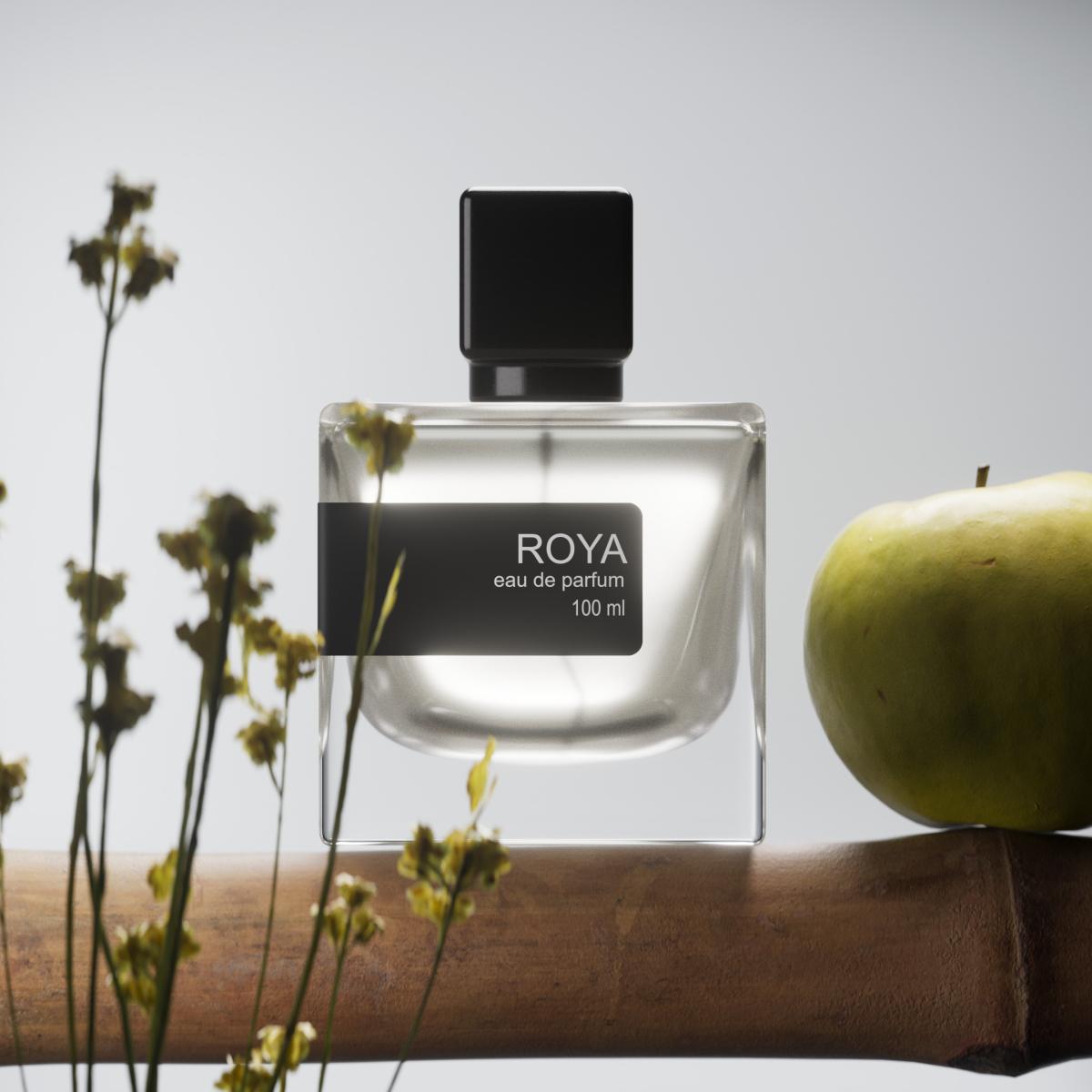 Roya Extract сүрчиг - a шинэ сүрчиг эмэгтэй 2022