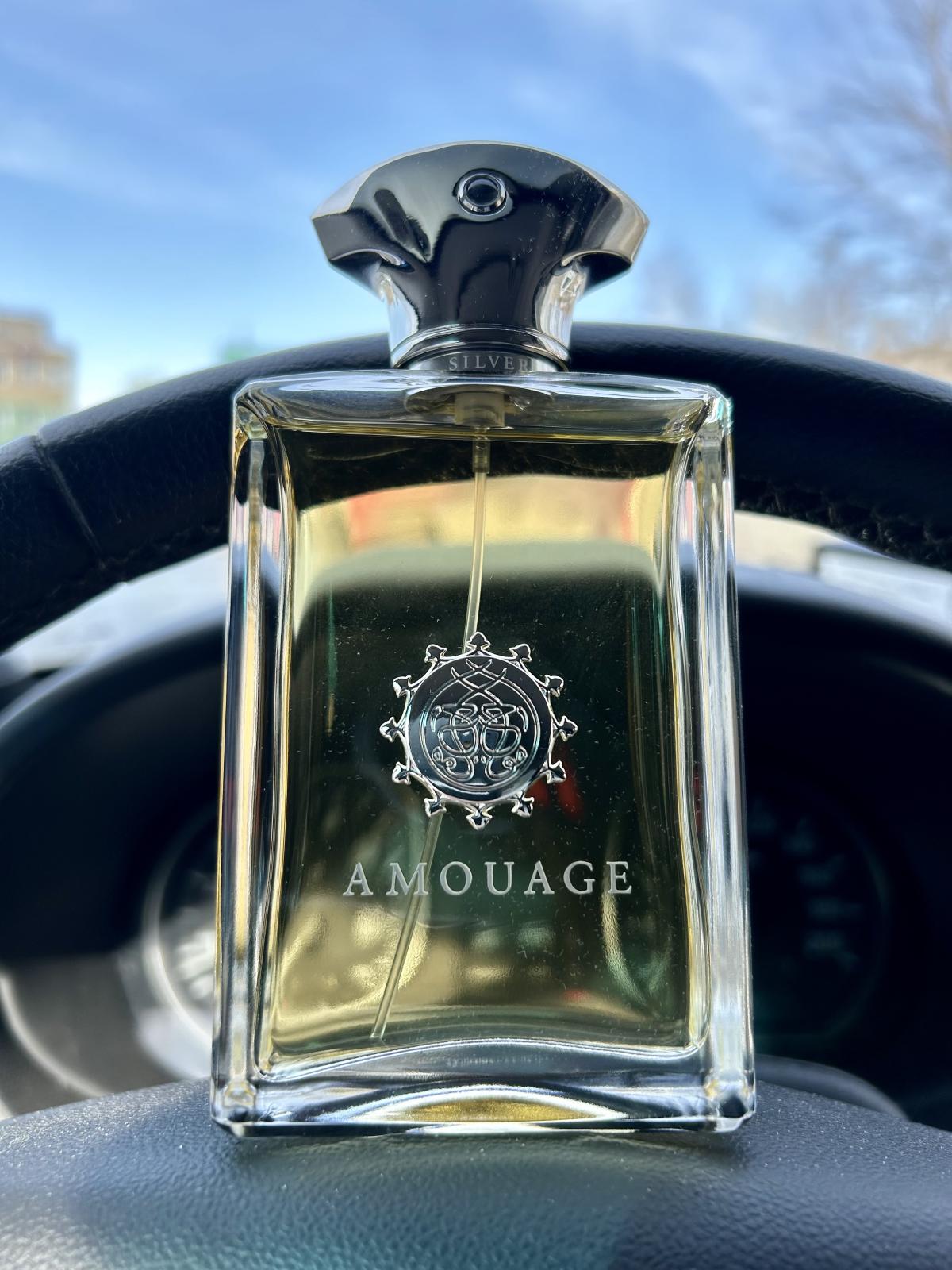 Silver Man Amouage Colonia - una fragancia para Hombres 2002