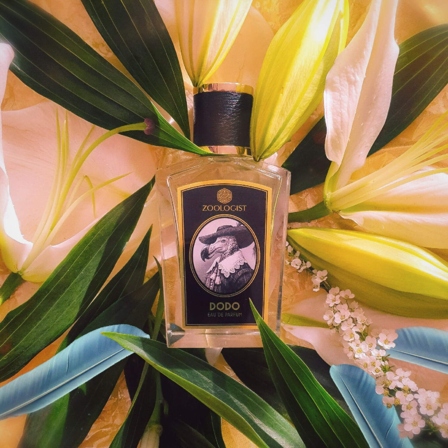 Dodo Zoologist Perfumes parfum - un parfum pour homme et femme 2019