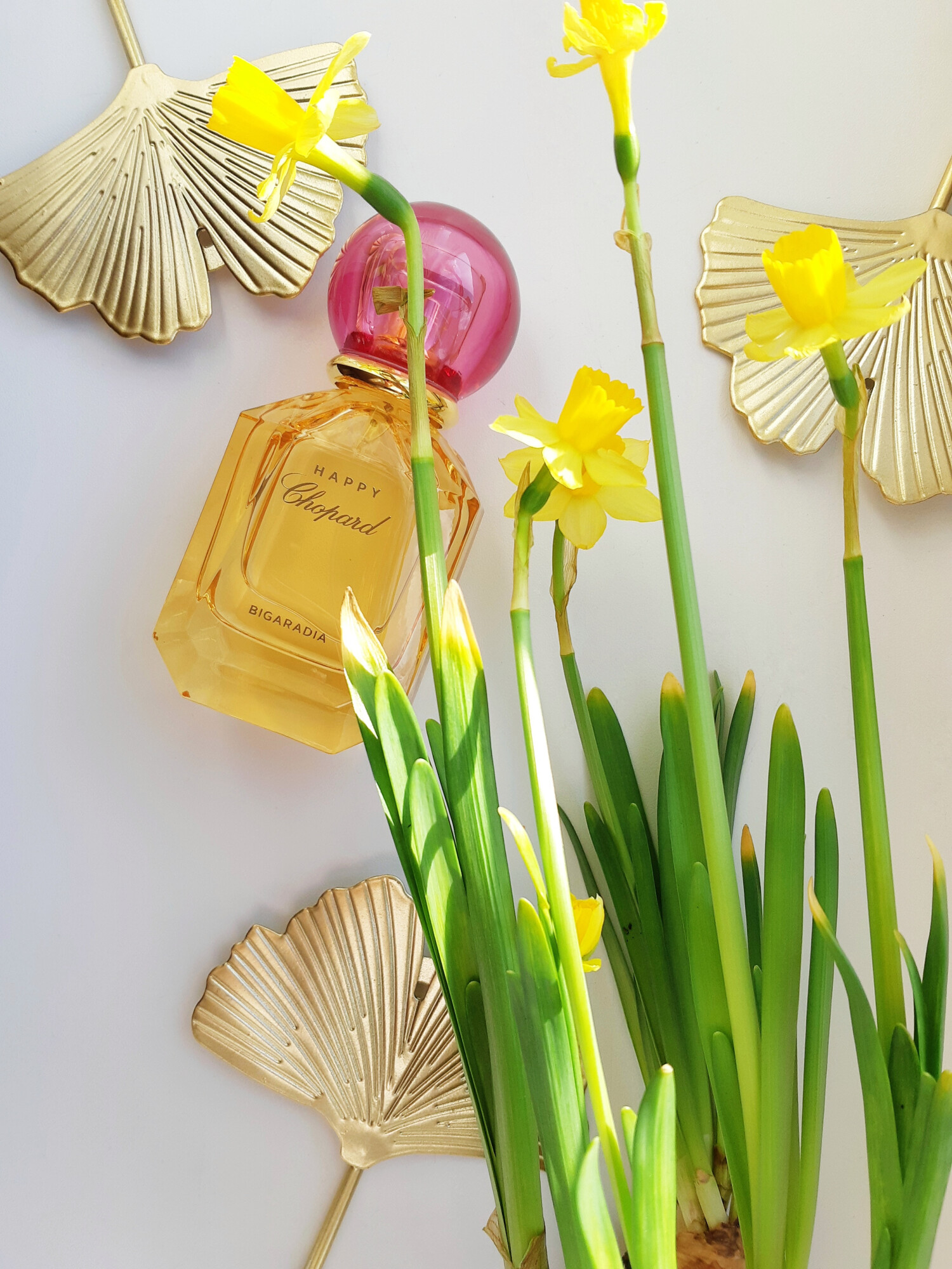 Happy Chopard Bigaradia Chopard perfume - a fragrância Feminino 2018