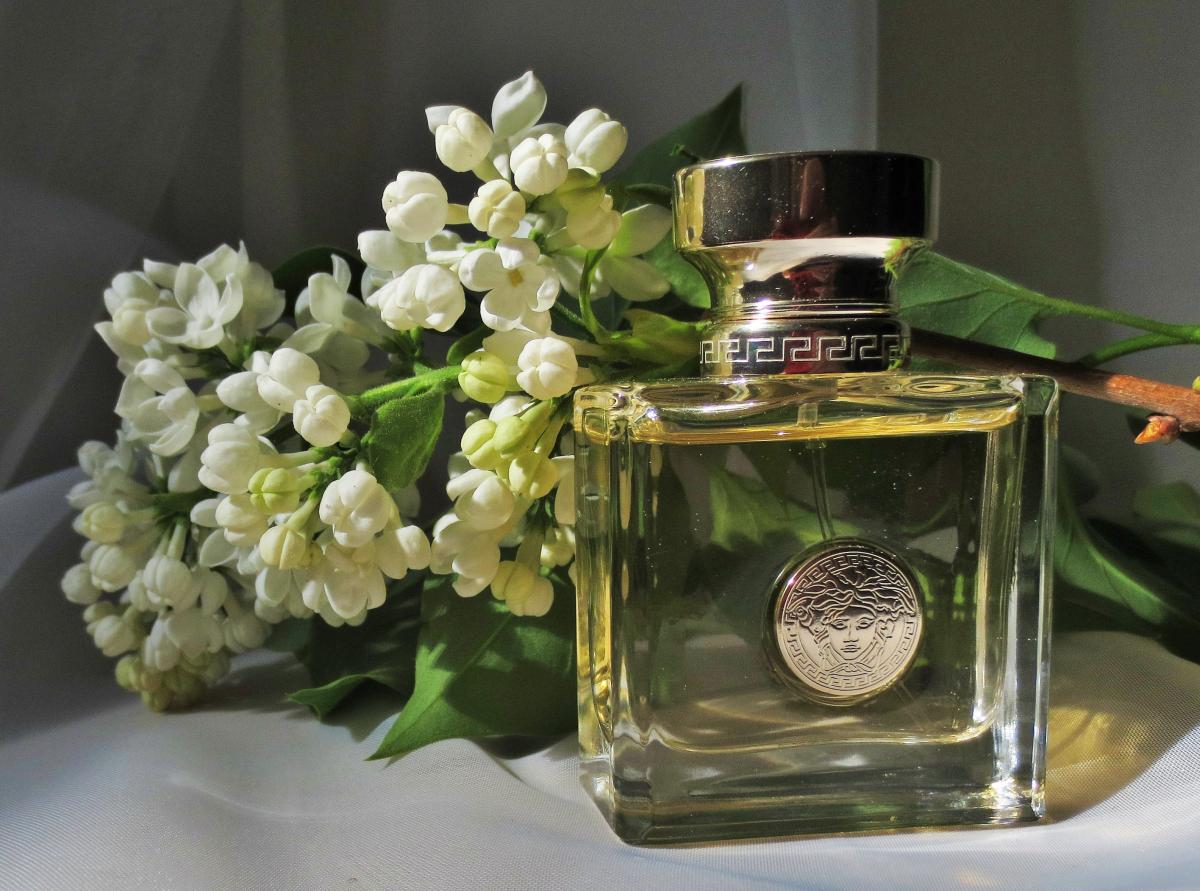 Versace Versace perfume - a fragrância Feminino 2007