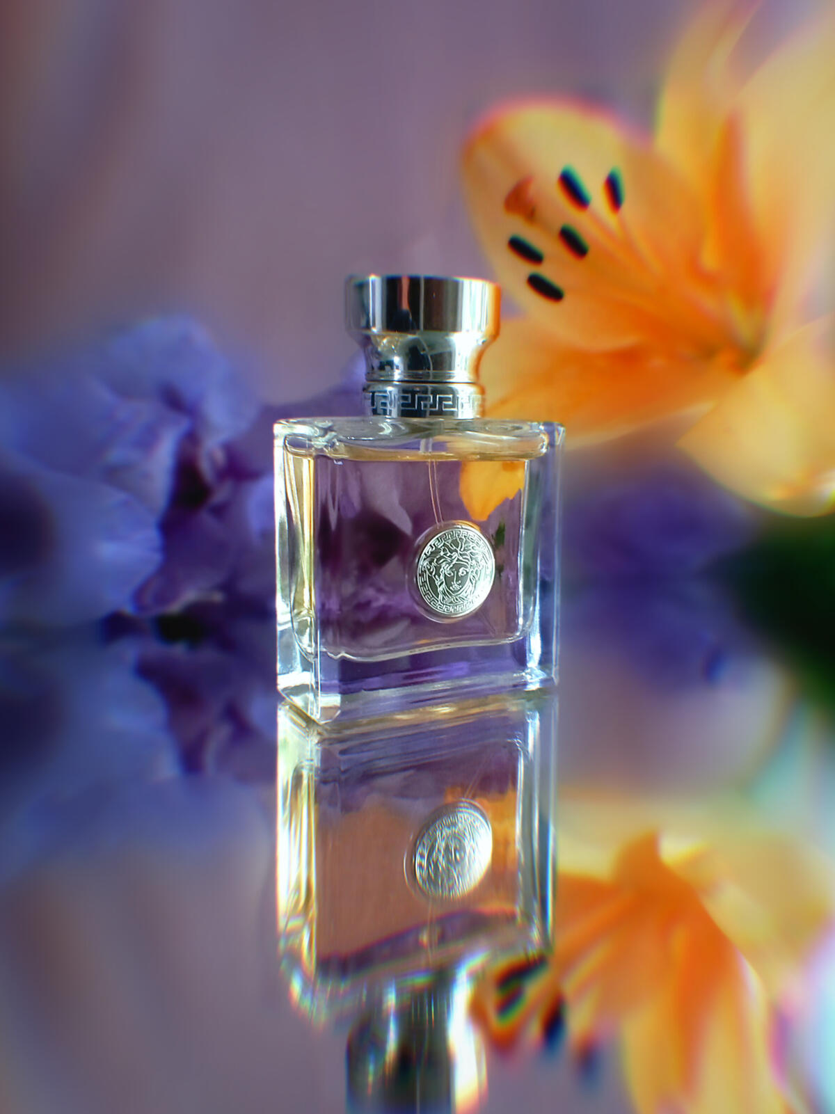 Versace Versace fragancia - una fragancia para Mujeres 2007