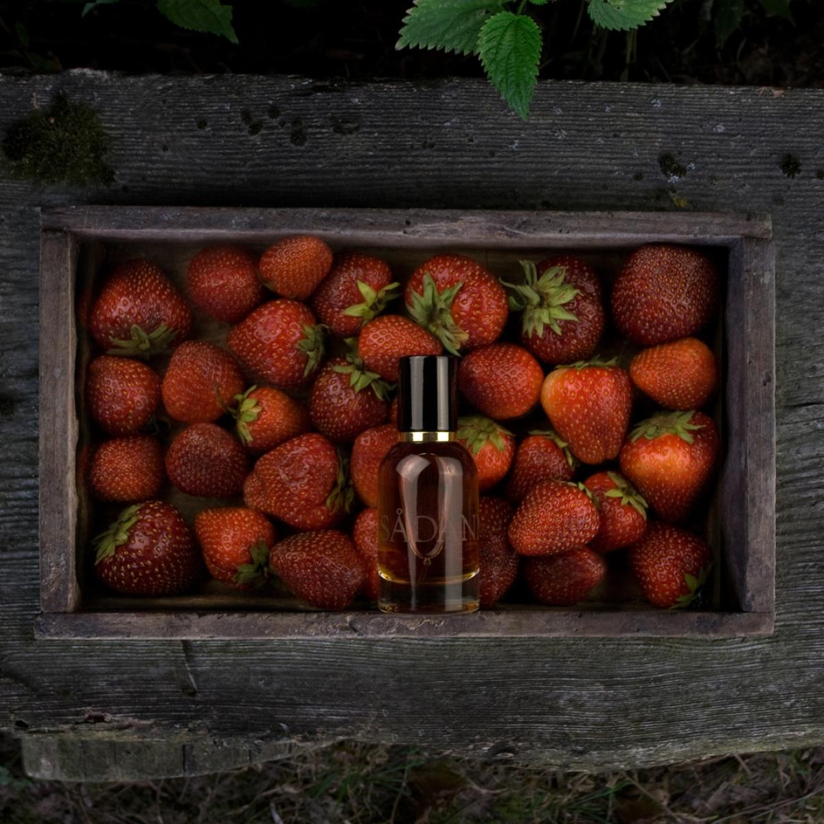 Sadanne Slumberhouse сүрчиг - a сүрчиг эрэгтэй эмэгтэй 2014