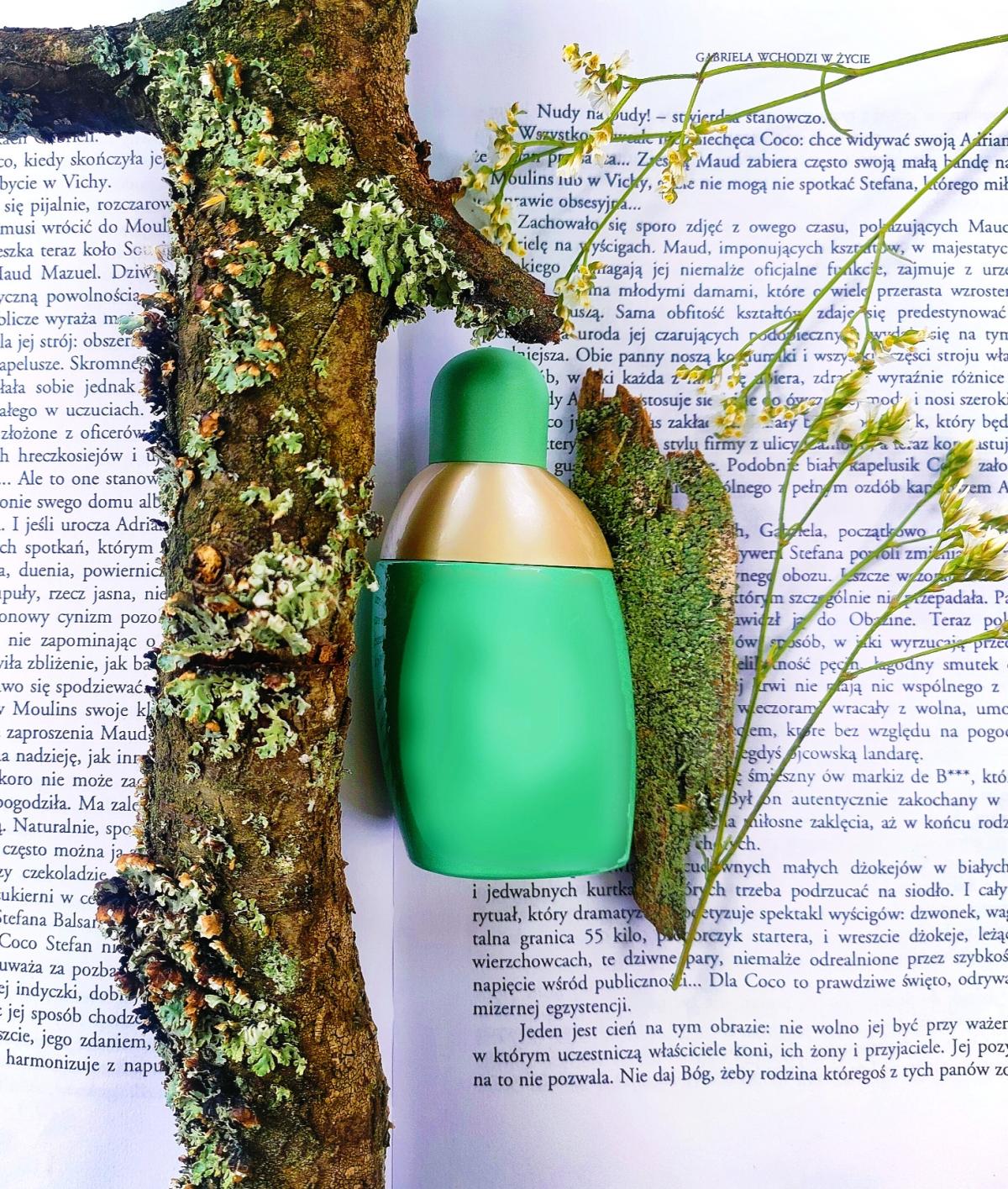 Eden Cacharel perfume - a fragrância Feminino 1994