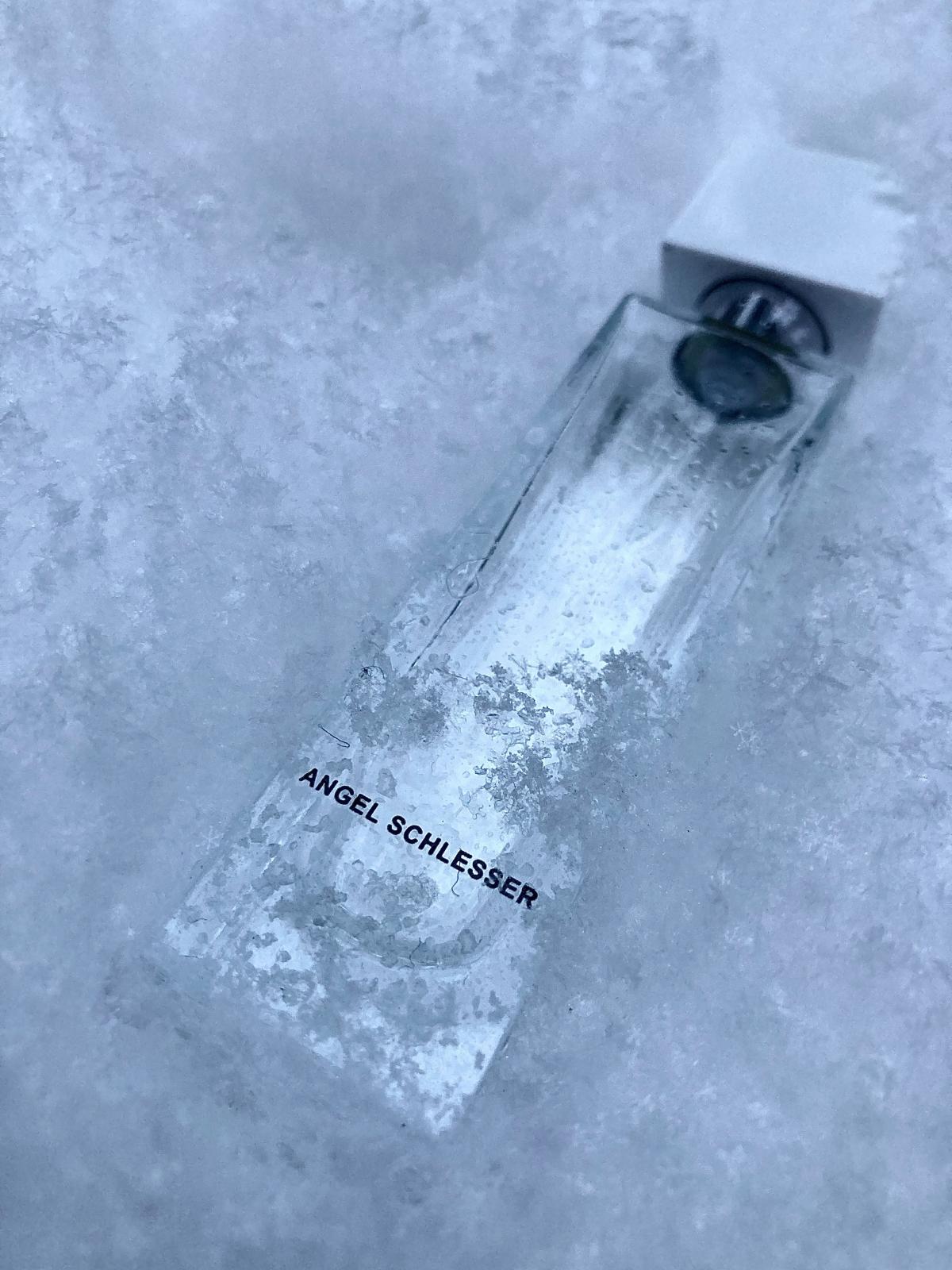 Angel Schlesser Femme Angel Schlesser fragancia - una fragancia para ...