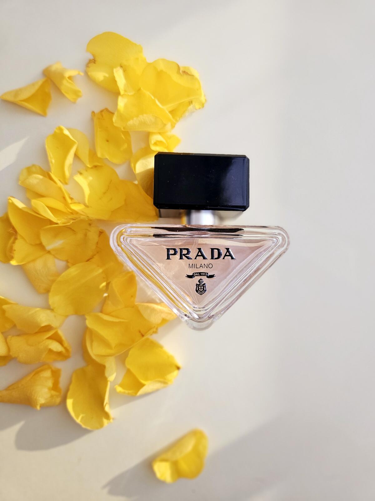 Prada Paradoxe Prada parfem - novi parfem za žene 2022