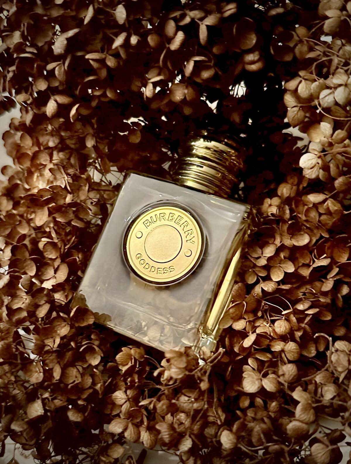 Goddess Burberry - una novità fragranza da donna 2023