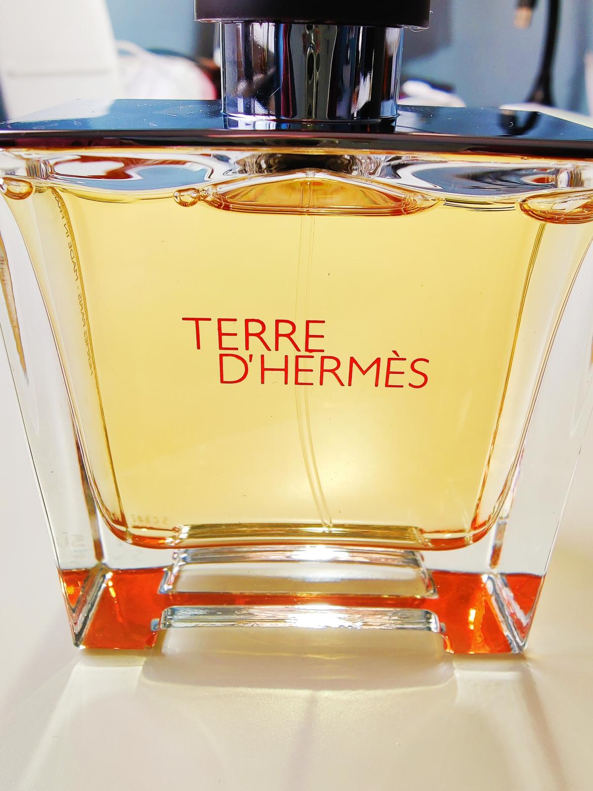 Terre d'Hermes Flacon H 2021 Parfum Hermès cologne - een geur voor ...