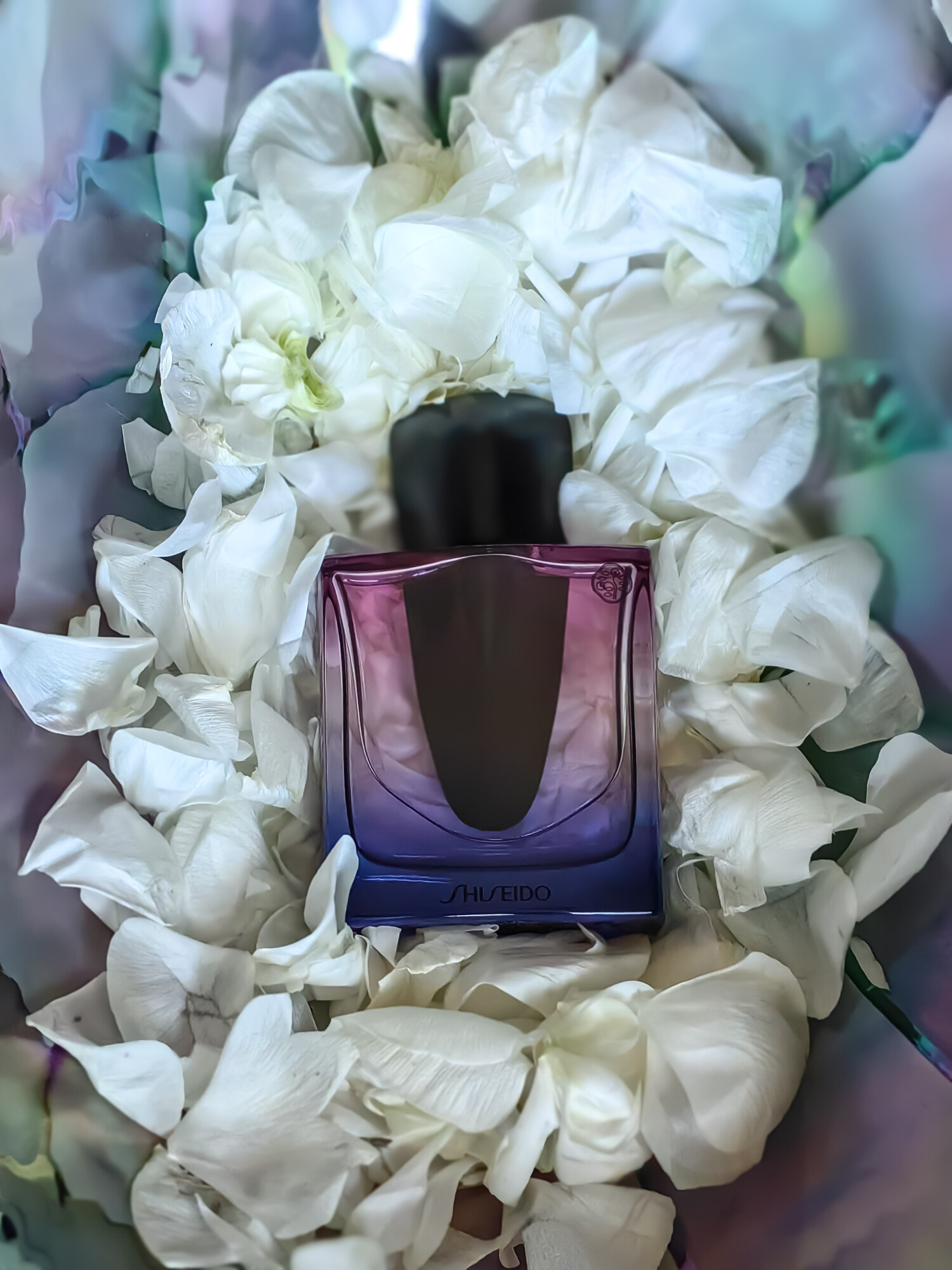 Ginza Night Shiseido perfume - a novo fragrância Feminino 2024